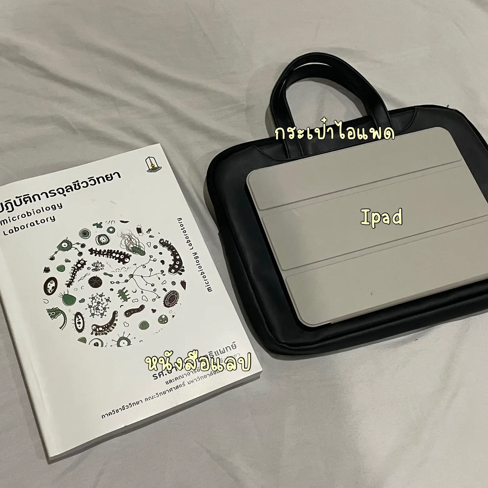 สิ่งของจำเป็นในกระเป๋านักศึกษา! (uni ver.🎀)