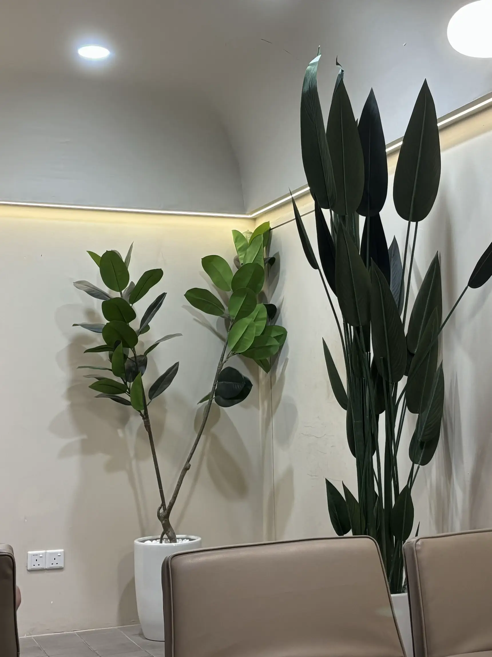 JB MT AUSTIN must try cafe! 🍵😋 ️ | Gallery posted by chan | Lemon8