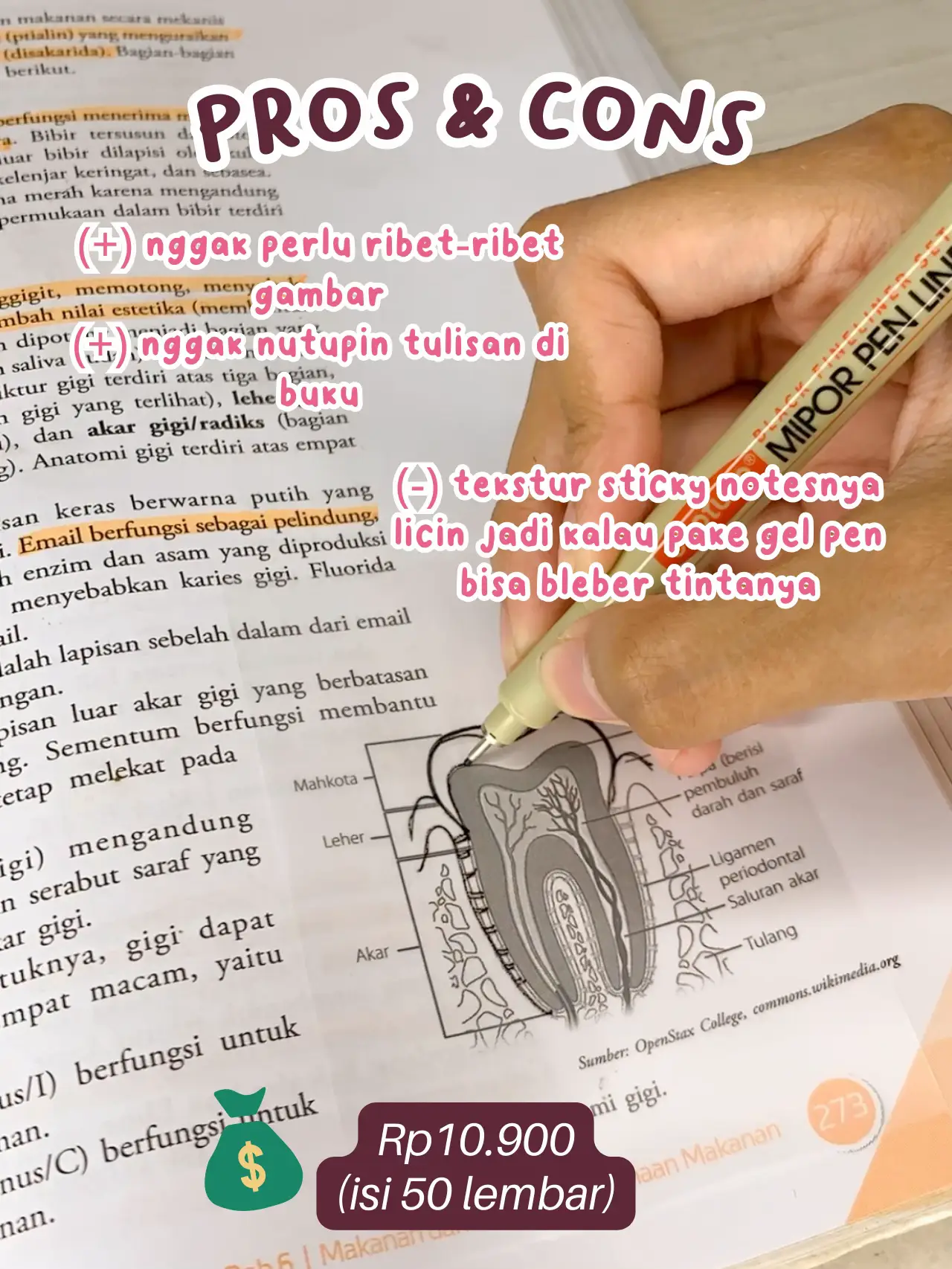 STICKY NOTES TRANSPARAN🤔 | Galeri diposting oleh studyssha | Lemon8