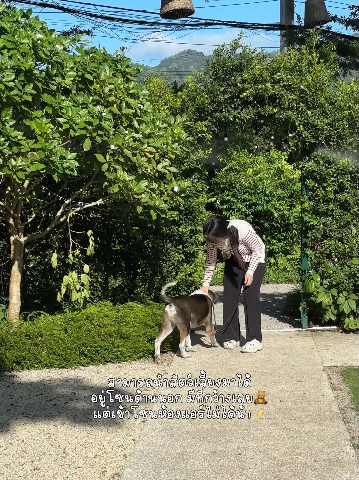 ร้านคาเฟ่ Pet friendly ในหาดใหญ่🦮🎀 Humble Farm🧑‍🌾 | แกลเลอรีที่โพสต์โดย ...