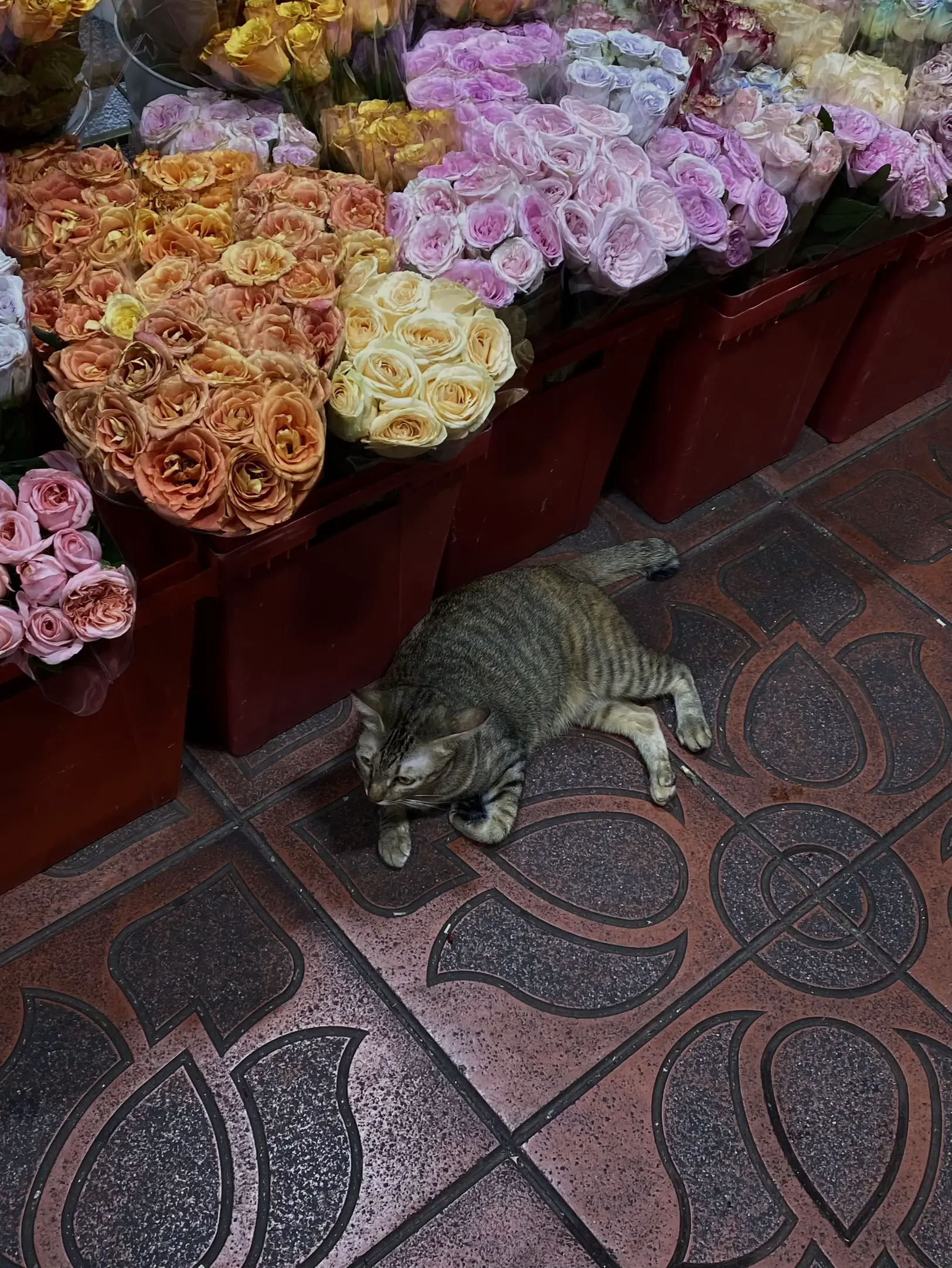 ไอเดียถ่ายรูปกลางคืน 📍เจริญกรุง 30 | แกลเลอรีที่โพสต์โดย PUYFAI | Lemon8