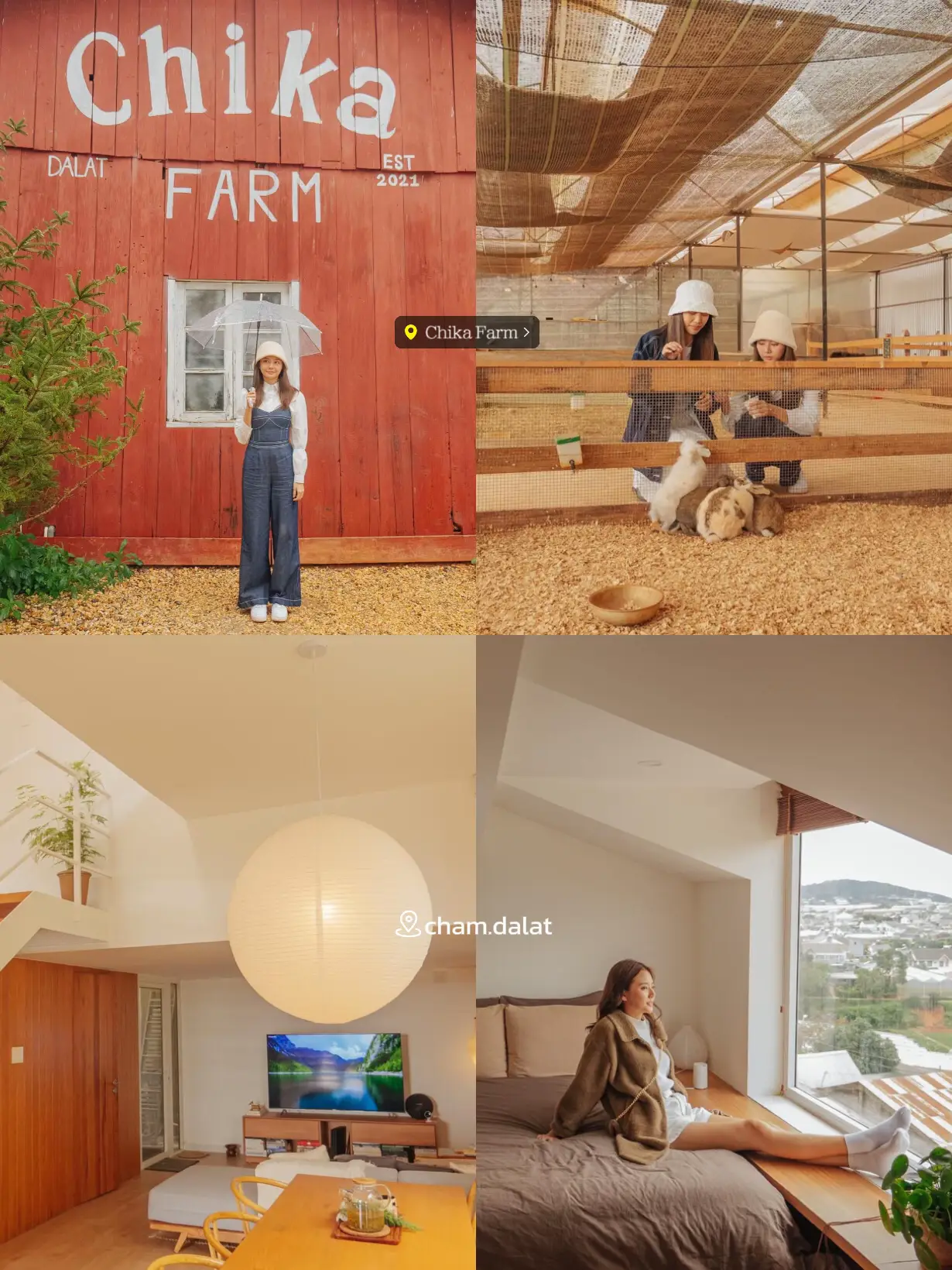 Dalat ใช้คำว่าสวยได้เปลืองมาก! | แกลเลอรีที่โพสต์โดย lbzero | Lemon8