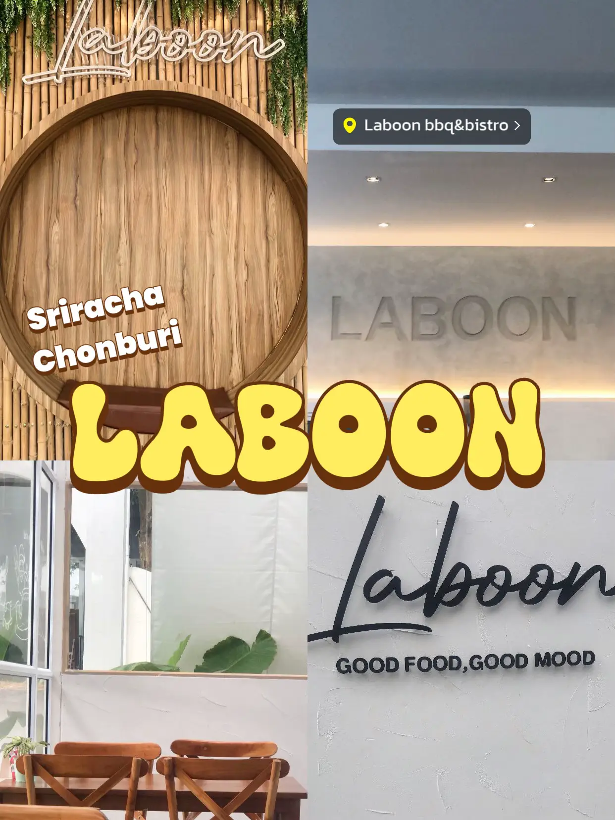 Laboon🌿☁️🖼️ | แกลเลอรีที่โพสต์โดย Nalin.diary | Lemon8