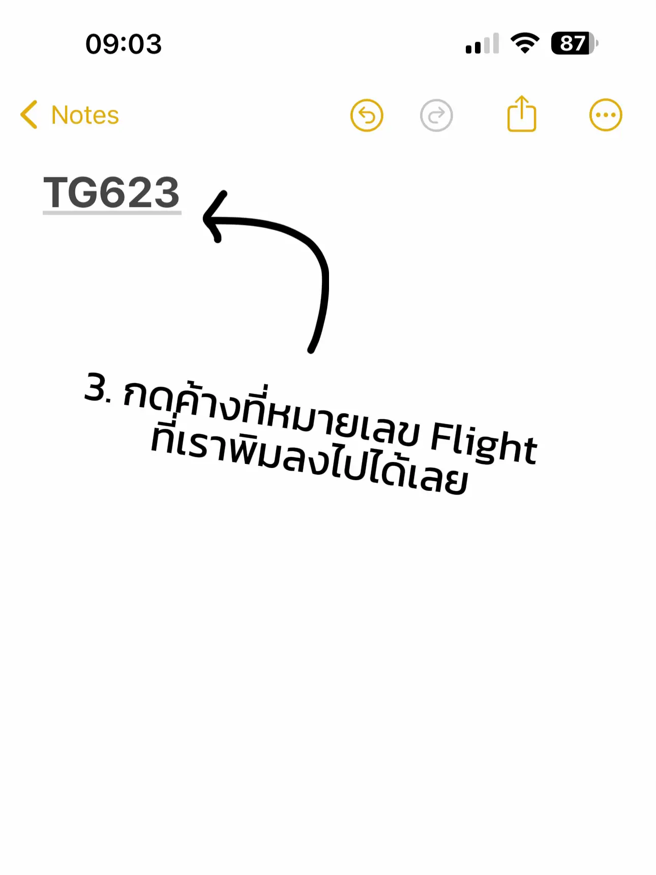 วิธีเช็ค Flight บินง่ายๆ สำหรับ IOS | แกลเลอรีที่โพสต์โดย De_Zammy | Lemon8