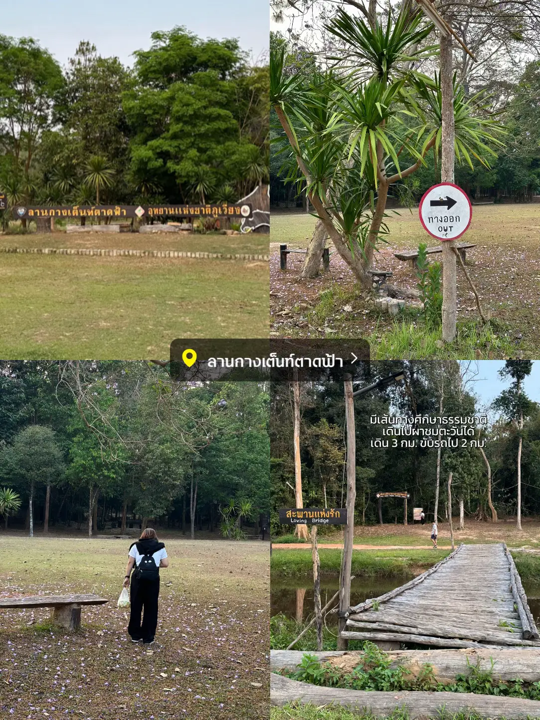 เที่ยวขอนแก่น D2 — มุ่งสู่อุทยานแห่งชาติภูเวียง แวะคาเฟ่สุดเท่ | แกลเลอรีที่โพสต์โดย Bajaree.wk ...