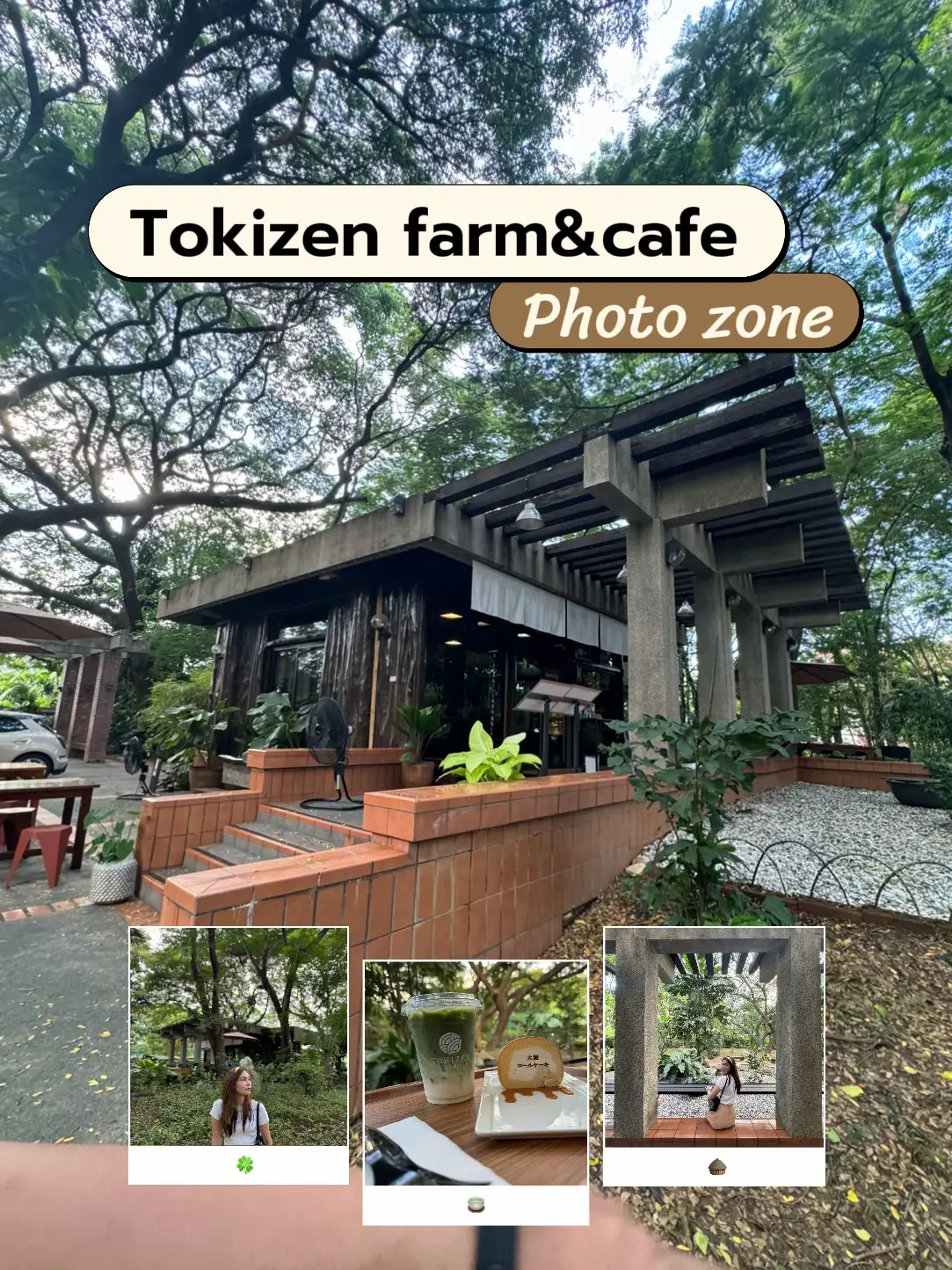 🌳“Tokizen farm&cafe” : Japanese Garden cafe style🍵 | แกลเลอรีที่โพสต์โดย แต้วแต้วไง. | Lemon8