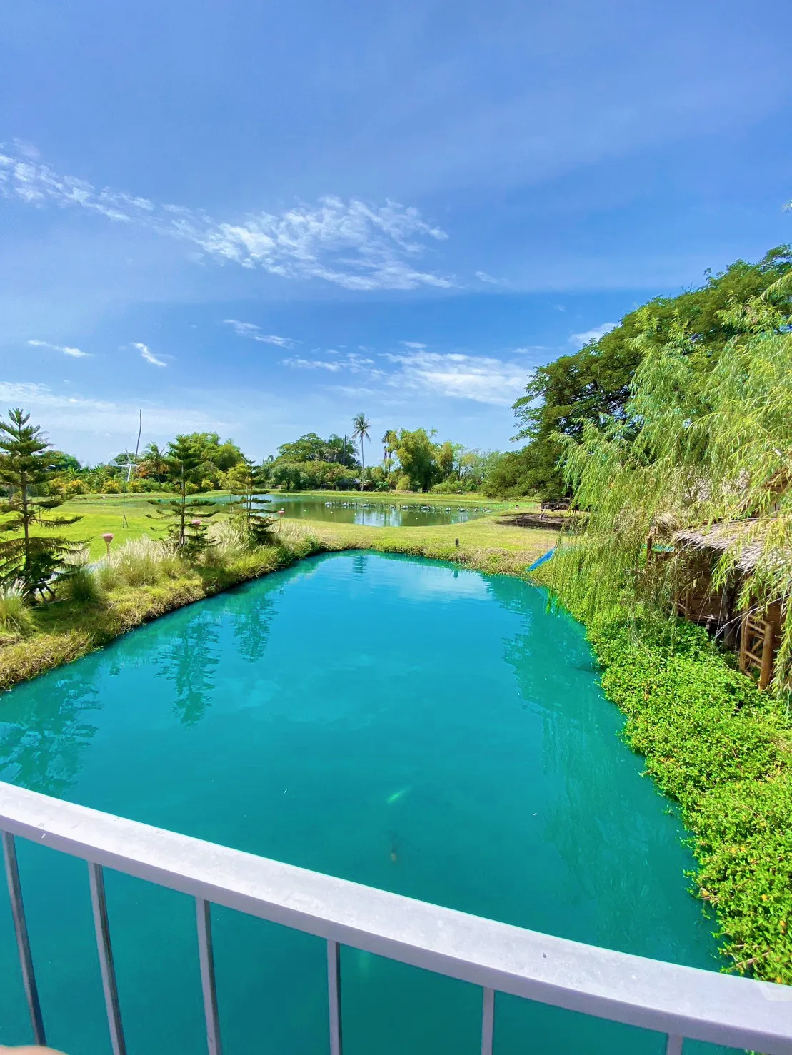 ดั๊กแลนด์ | แกลเลอรีที่โพสต์โดย luck | Lemon8