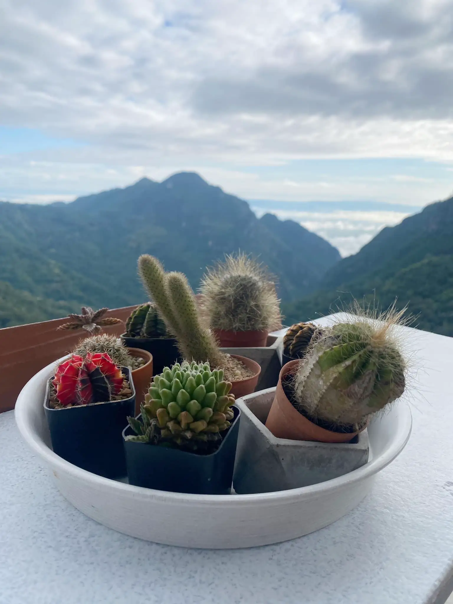 บ้านผาฮี้ | แกลเลอรีที่โพสต์โดย Yui Chamaiporn | Lemon8