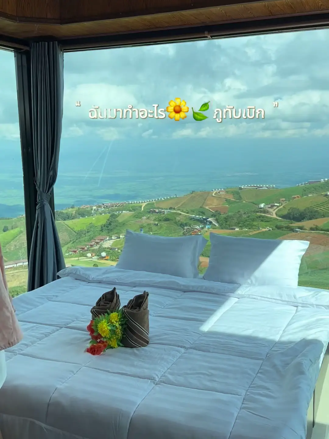 นอนดูหมอกลอยฟ้าที่ภูทับเบิก | วิดีโอที่เผยแพร่โดย Meena Sakura | Lemon8