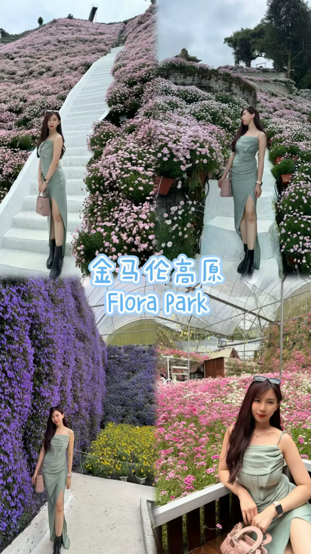 Flora Park Cameron Highlands | Video published by Evelynn Low | Lemon8