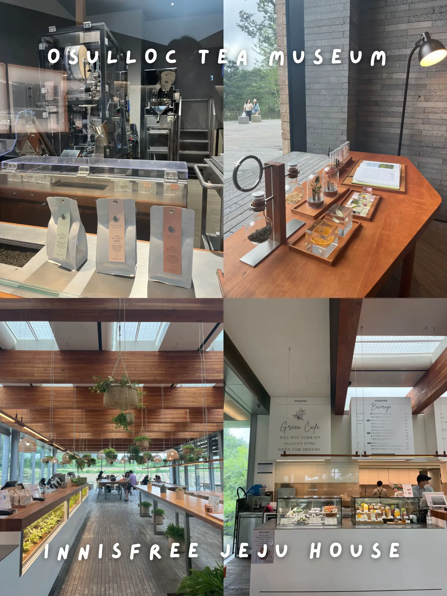 save my 2D2N Jeju itinerary! ️ | แกลเลอรีที่โพสต์โดย hui shan | Lemon8