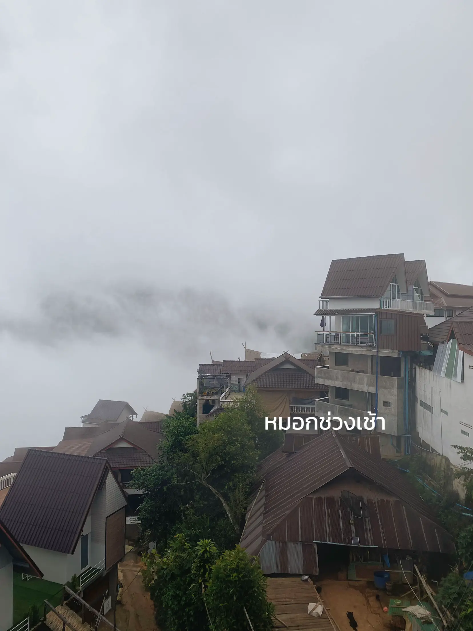The Mayer Phahi Homestay บ้านผาฮี้ เชียงราย 🏠⛰️ | แกลเลอรีที่โพสต์โดย ...
