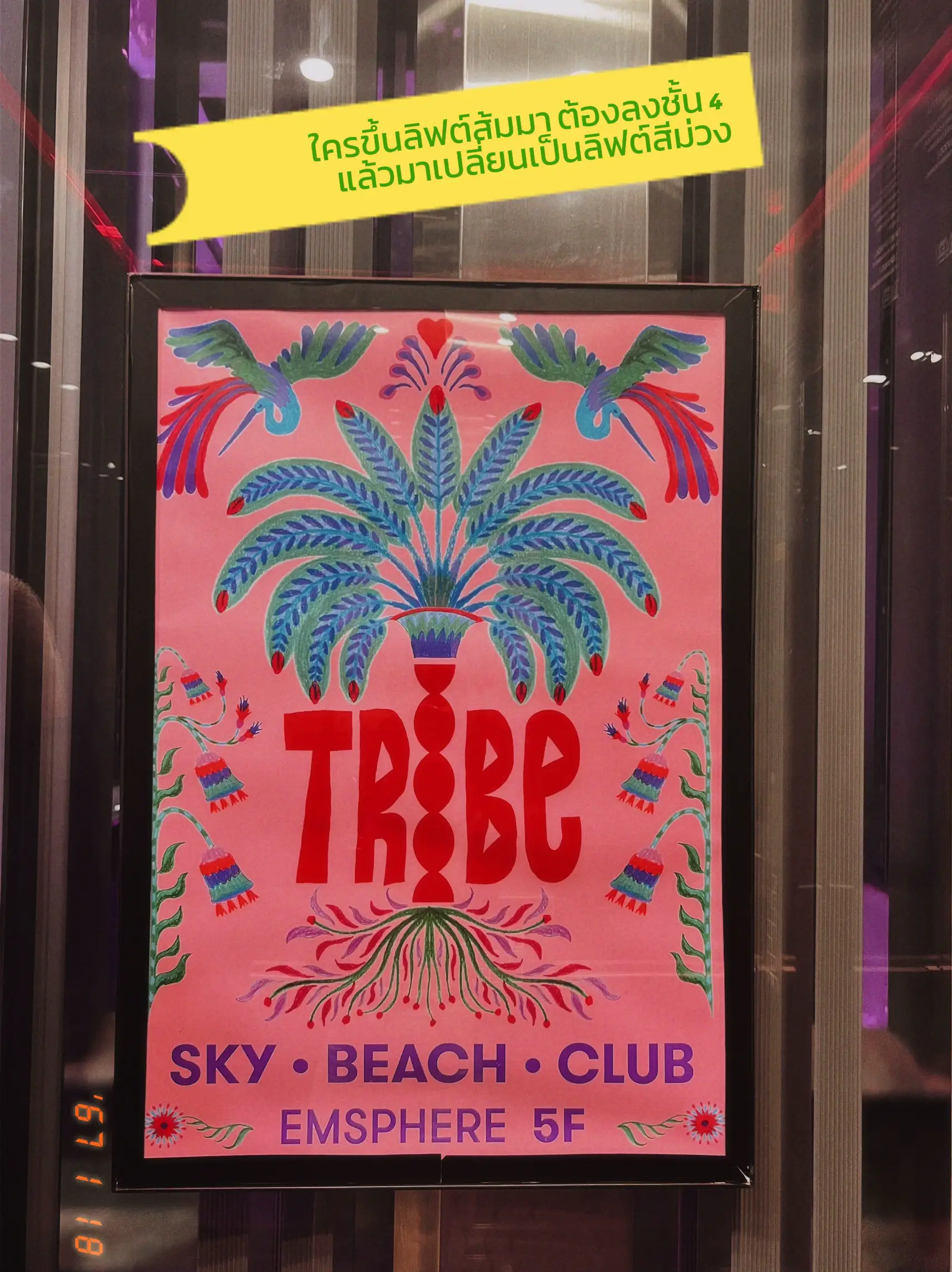 Tribe sky beach club 🏝 | แกลเลอรีที่โพสต์โดย Suthidar Sama | Lemon8
