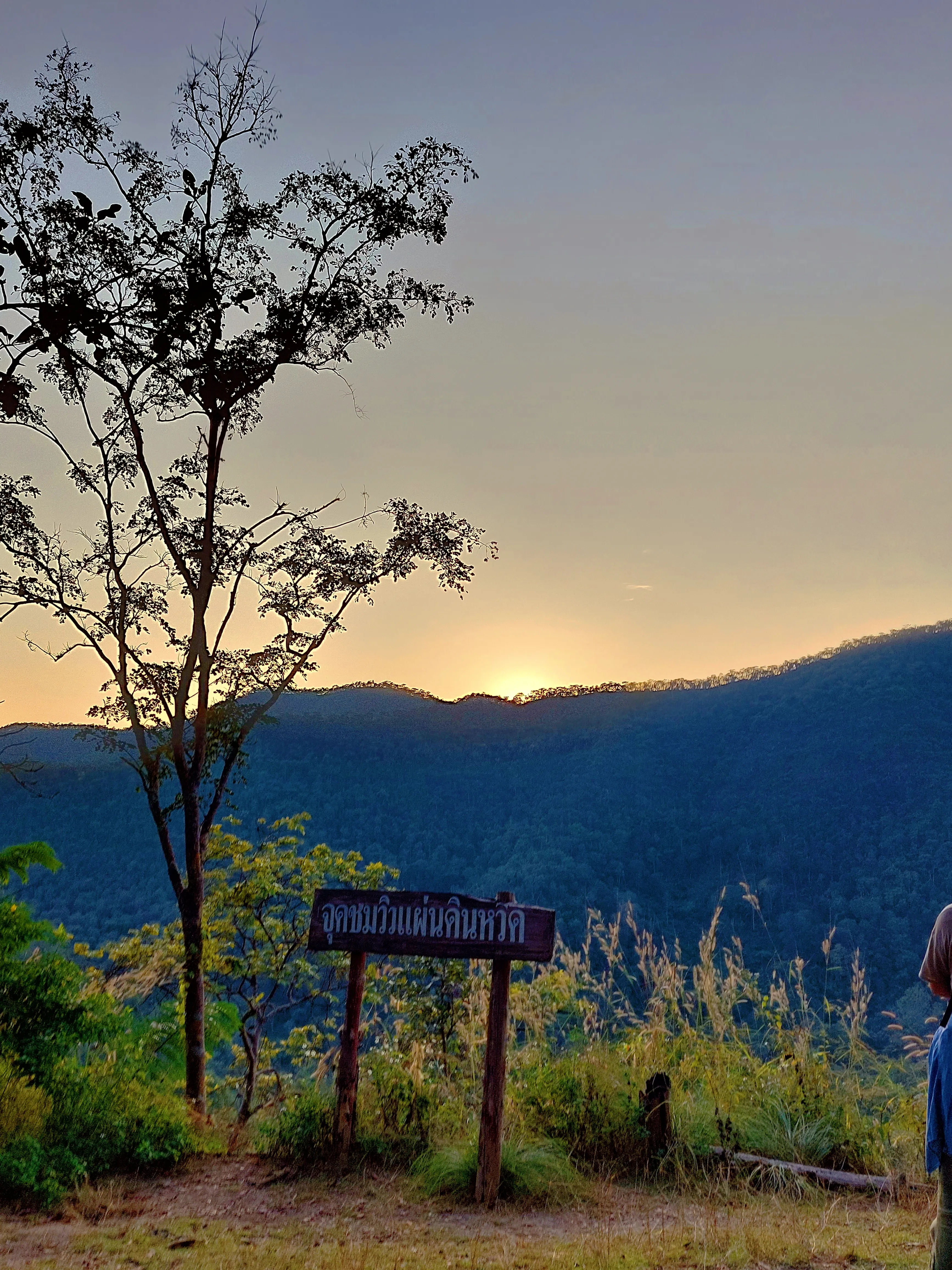 🌳บ้านต้นไม้ระเบียงป่าสัก เชียงใหม่ | แกลเลอรีที่โพสต์โดย S_Yammy | Lemon8