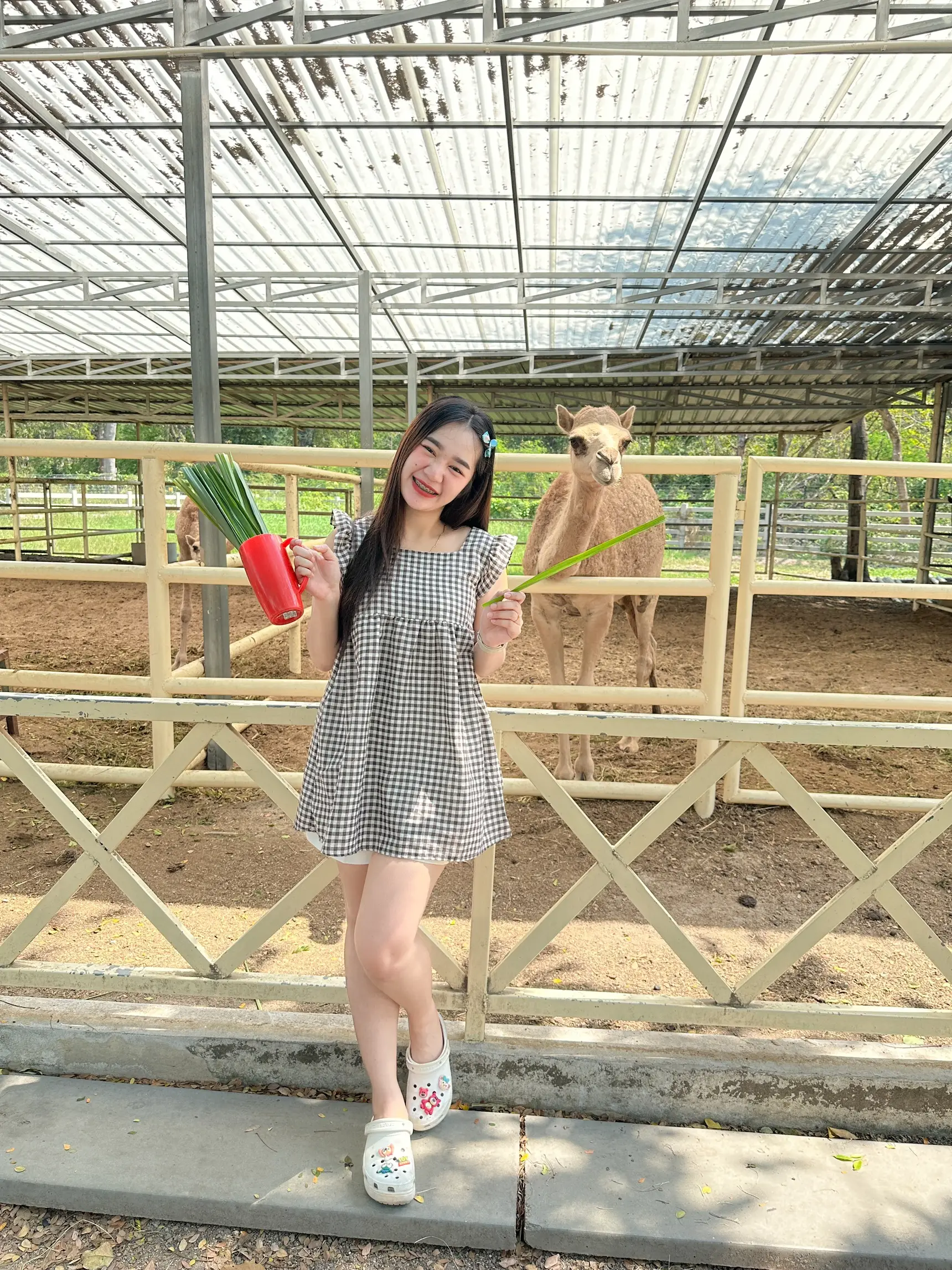 สวนอูฐ มุมน่ารักเยอะมาก 💗 | แกลเลอรีที่โพสต์โดย 𝘈𝘰𝘮𝘢𝘮𝘱 | Lemon8