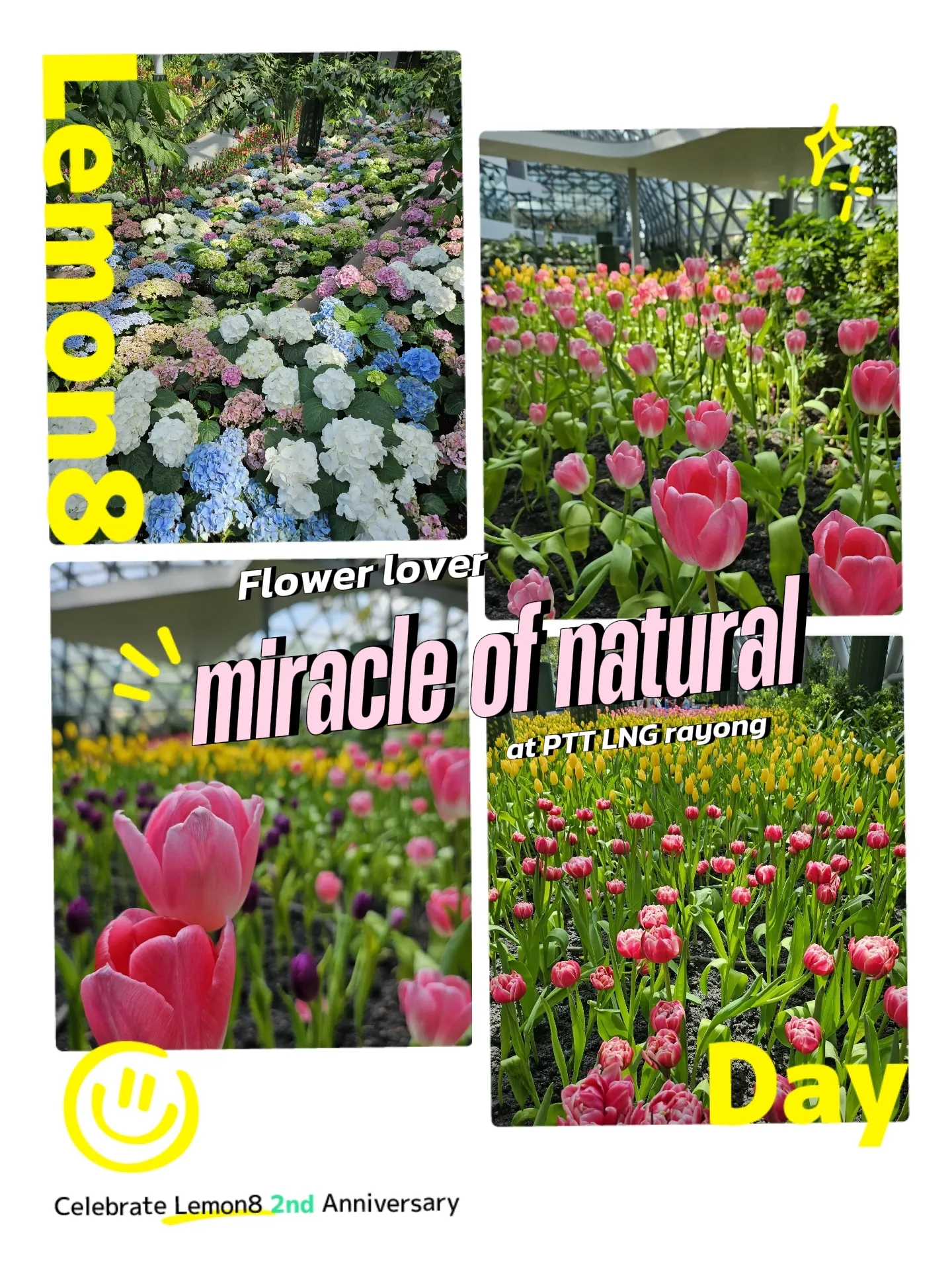 miracle of natural | แกลเลอรีที่โพสต์โดย Pumpim O | Lemon8
