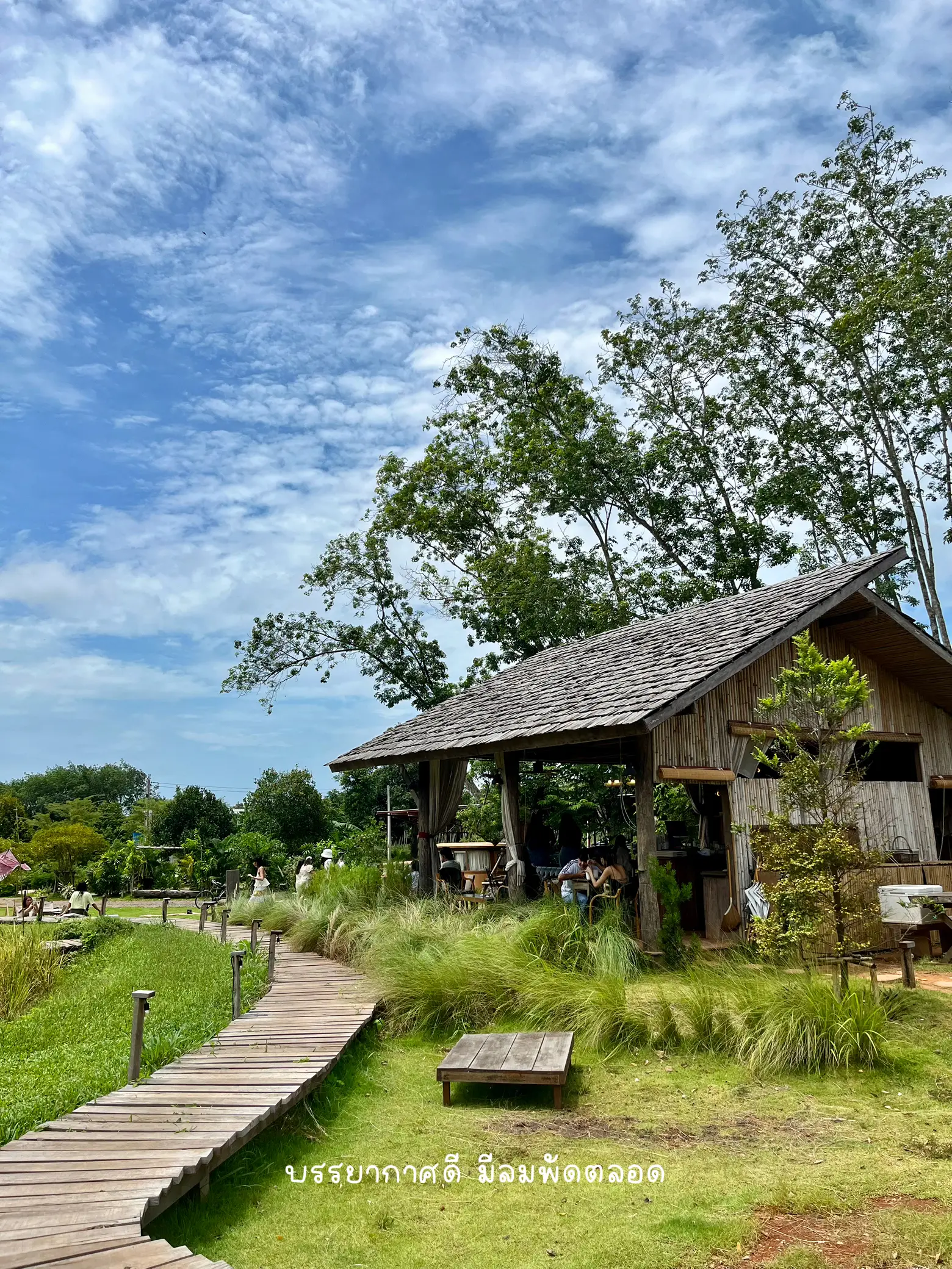 Oabb Farm & Cafe Klaeng Rayong ☕️🌾 | Gallery posted by sɪʟᴇɪ ヅ | Lemon8