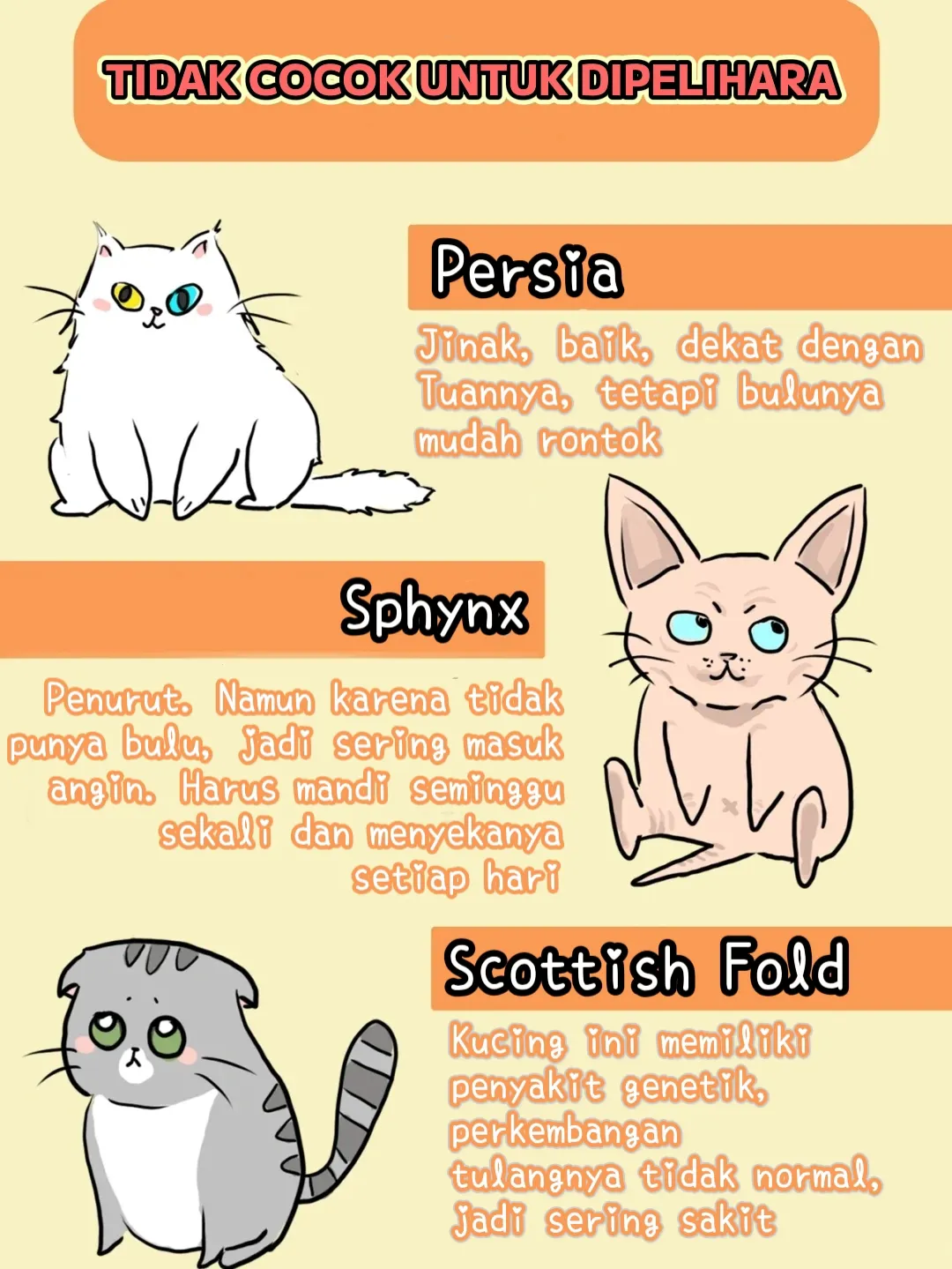 jenis-jenis kucing - Pencarian Lemon8