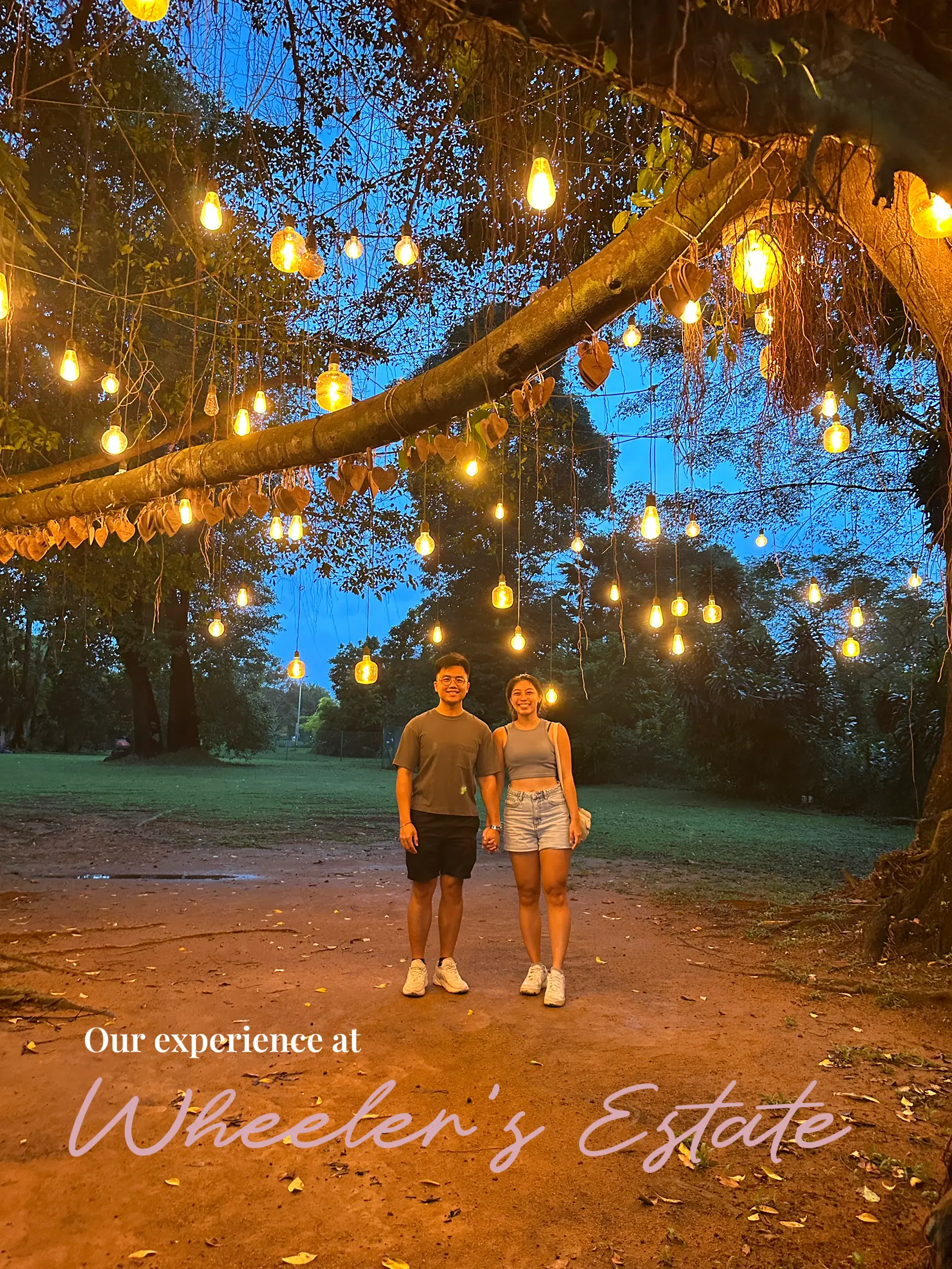 Our exp at Wheeler’s Estate | Save this post! | แกลเลอรีที่โพสต์โดย ...