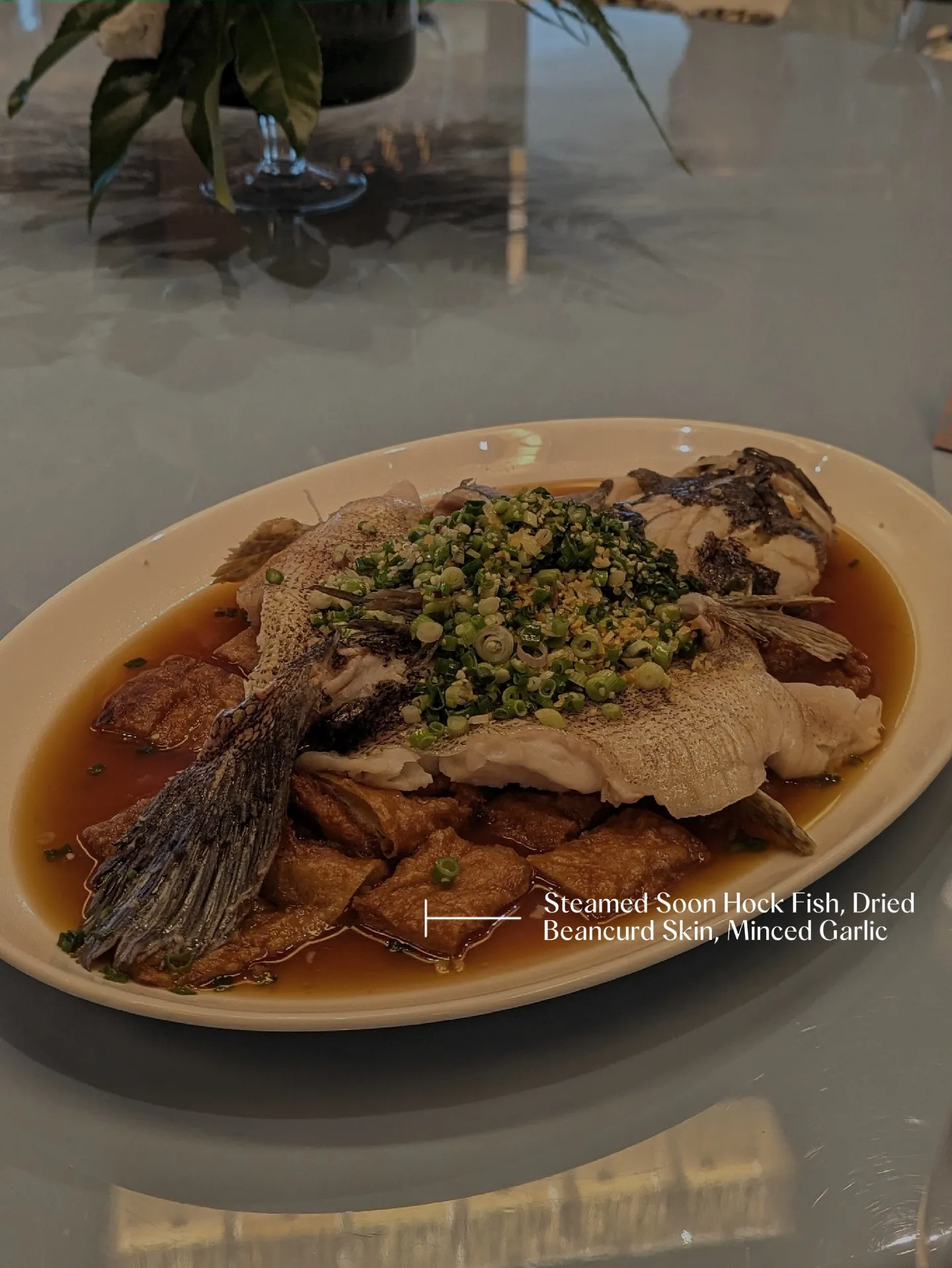 their 8 course meal made me mad | แกลเลอรีที่โพสต์โดย xin | Lemon8