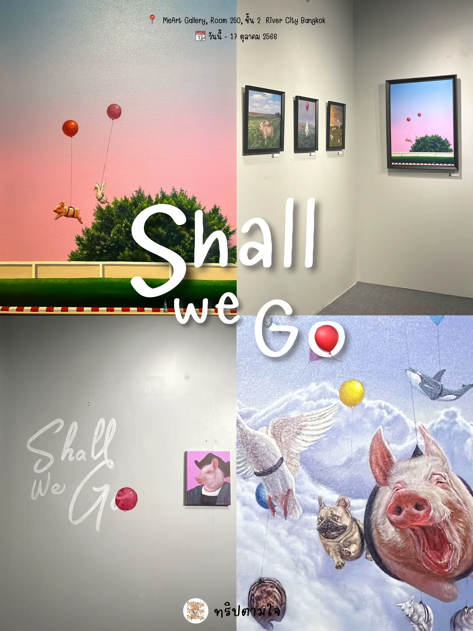 𝗦𝗵𝗮𝗹𝗹 𝗪𝗲 𝗚𝗼! 🎈🐖 การเดินทางของน้องหมูและเหล่าผองเพื่อน | แกลเลอรีที่โพสต์โดย TripTamJai | Lemon8