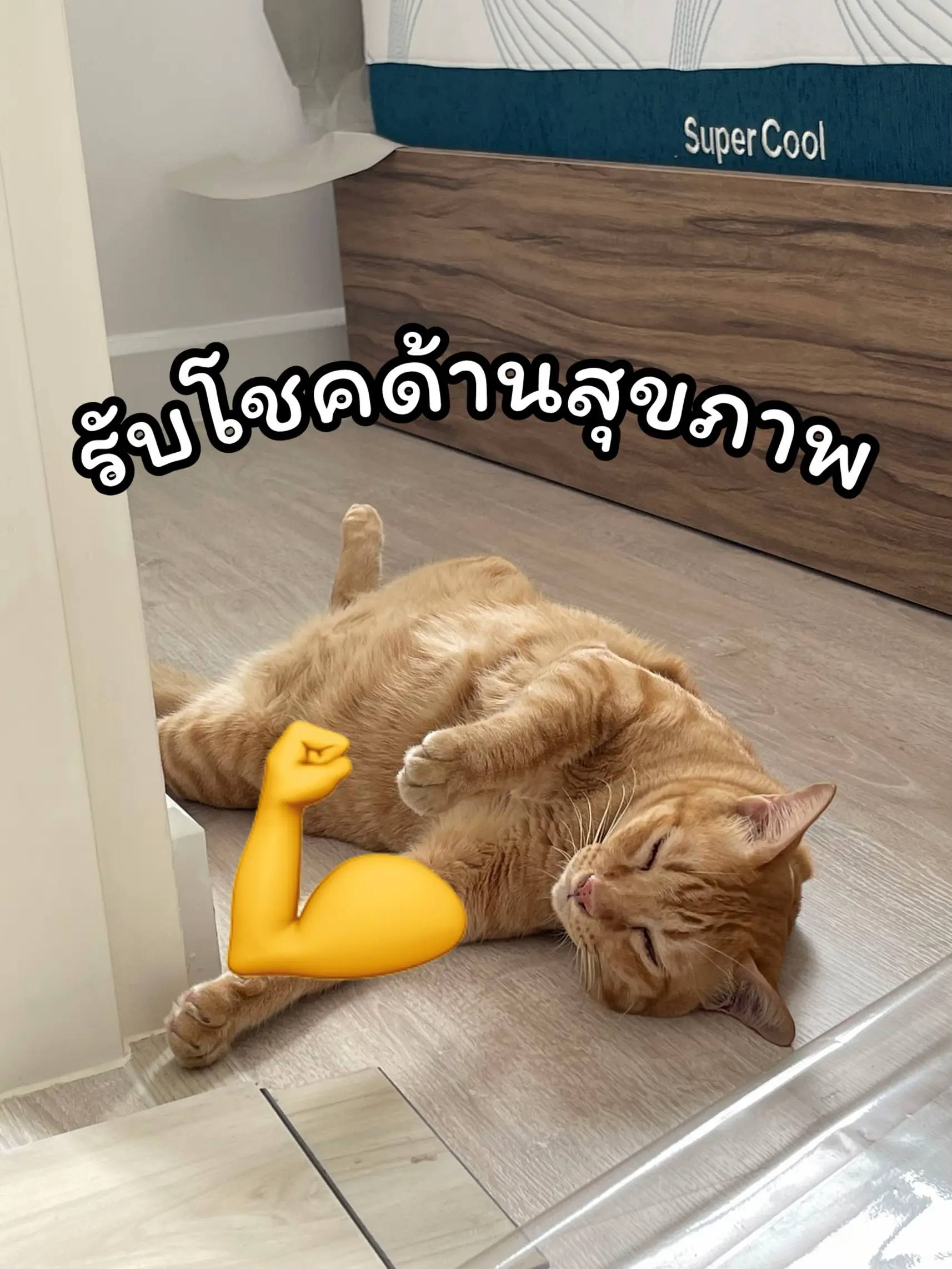 ไม่เชื่ออย่าลบหลู่ ️ | แกลเลอรีที่โพสต์โดย Parapach_Meen | Lemon8