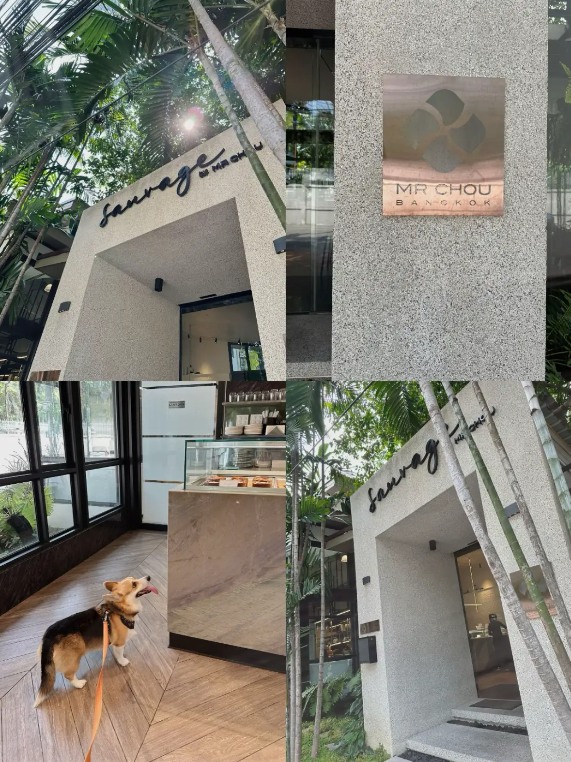 คาเฟ่ขนมสไตล์ฝรั่งเศส 🇫🇷 SAUVAGE แจ้งวัฒนะ | แกลเลอรีที่โพสต์โดย EatChapter | Lemon8