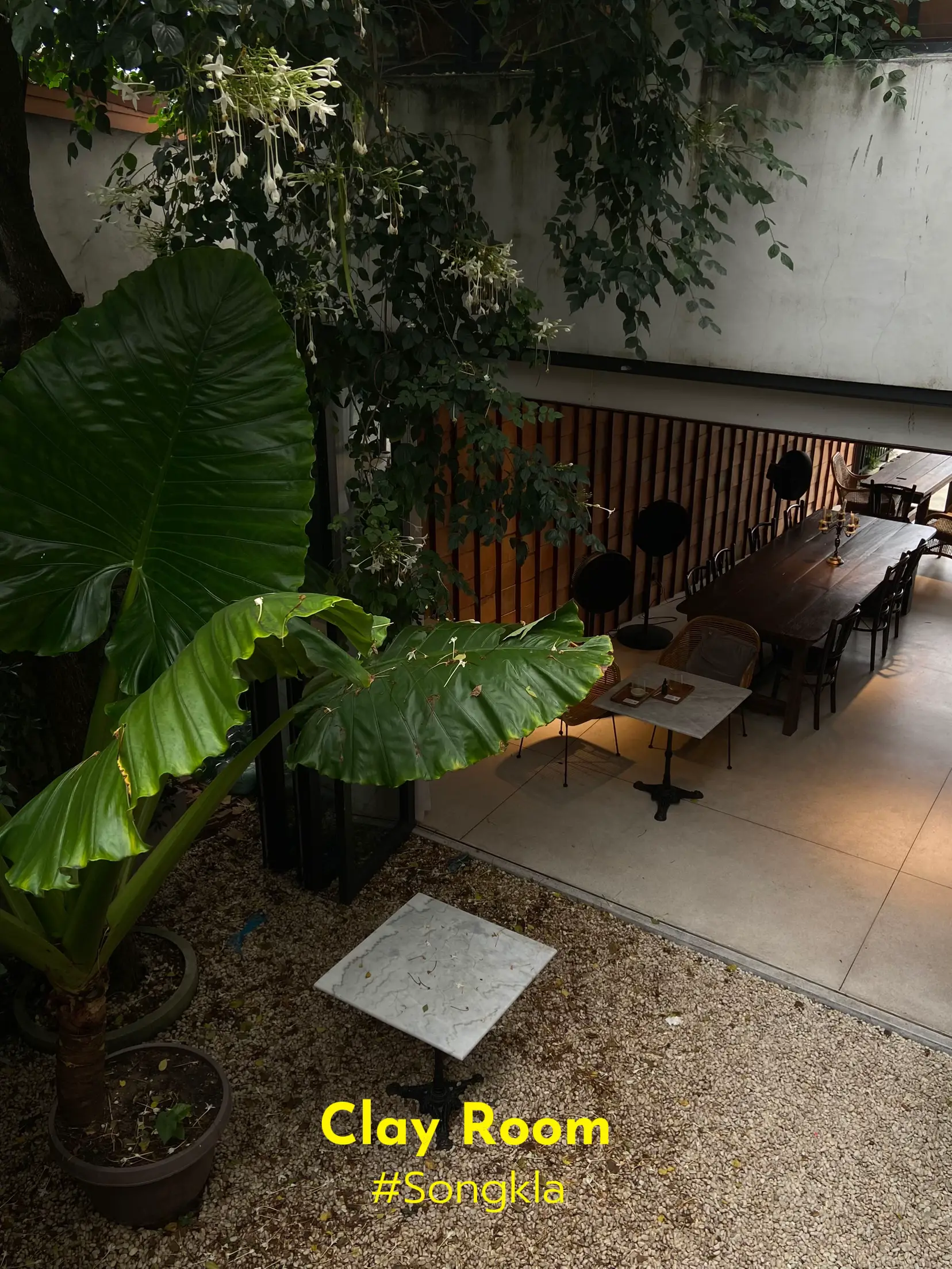 Clay Room | แกลเลอรีที่โพสต์โดย K | Lemon8