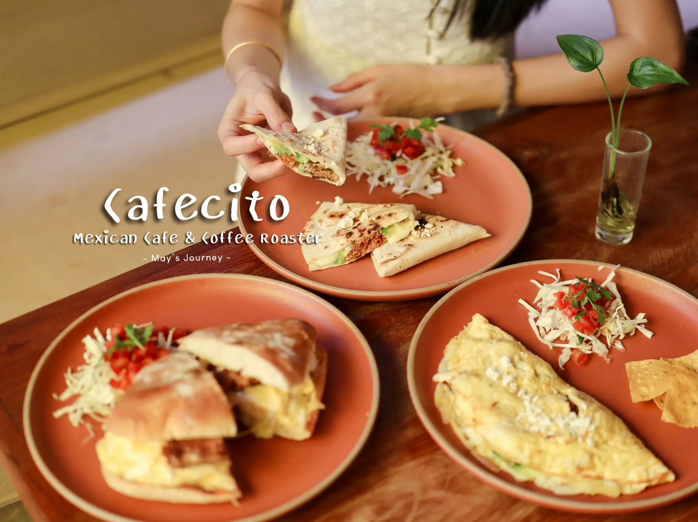 🌮Cafecito - Mexican Cafe & Coffee Roaster #ปาย | แกลเลอรีที่โพสต์โดย ...