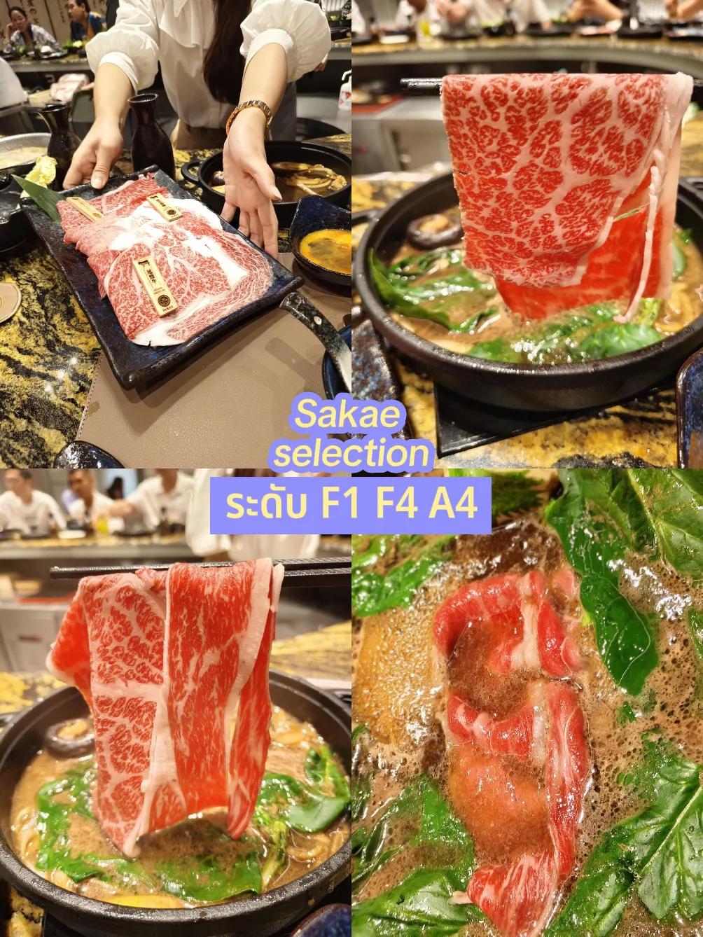 Premium shabu shabu sukiyaki | แกลเลอรีที่โพสต์โดย RB | Lemon8