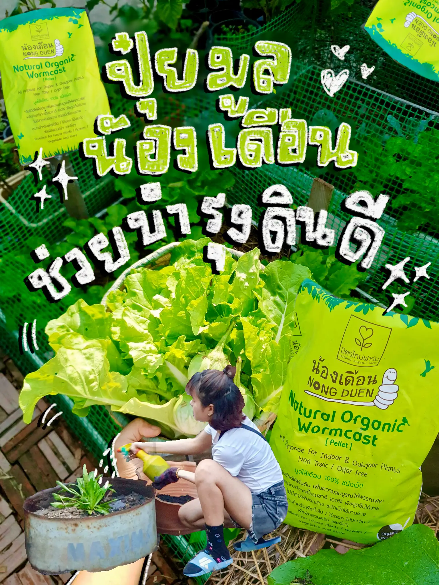 Good Soil from Nong Month 🍀 Vegetable Nourishing Earthworm Dung ...