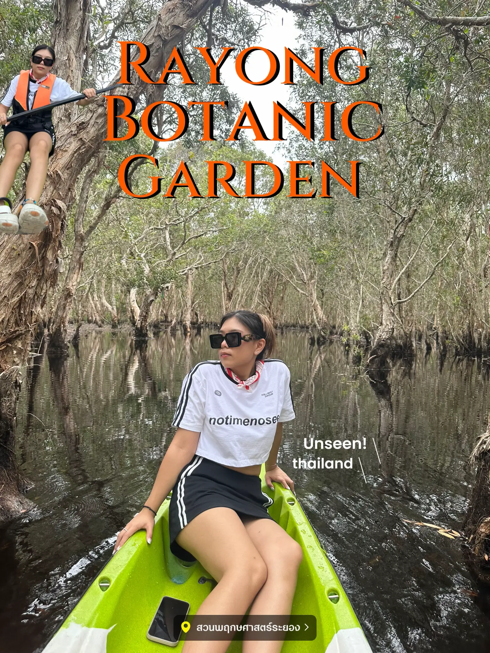 Unseen Thailand one day can travel. "Millennial Forest." 🌿🚣🏻‍♂️ | Gallery posted by np :•) | Lemon8