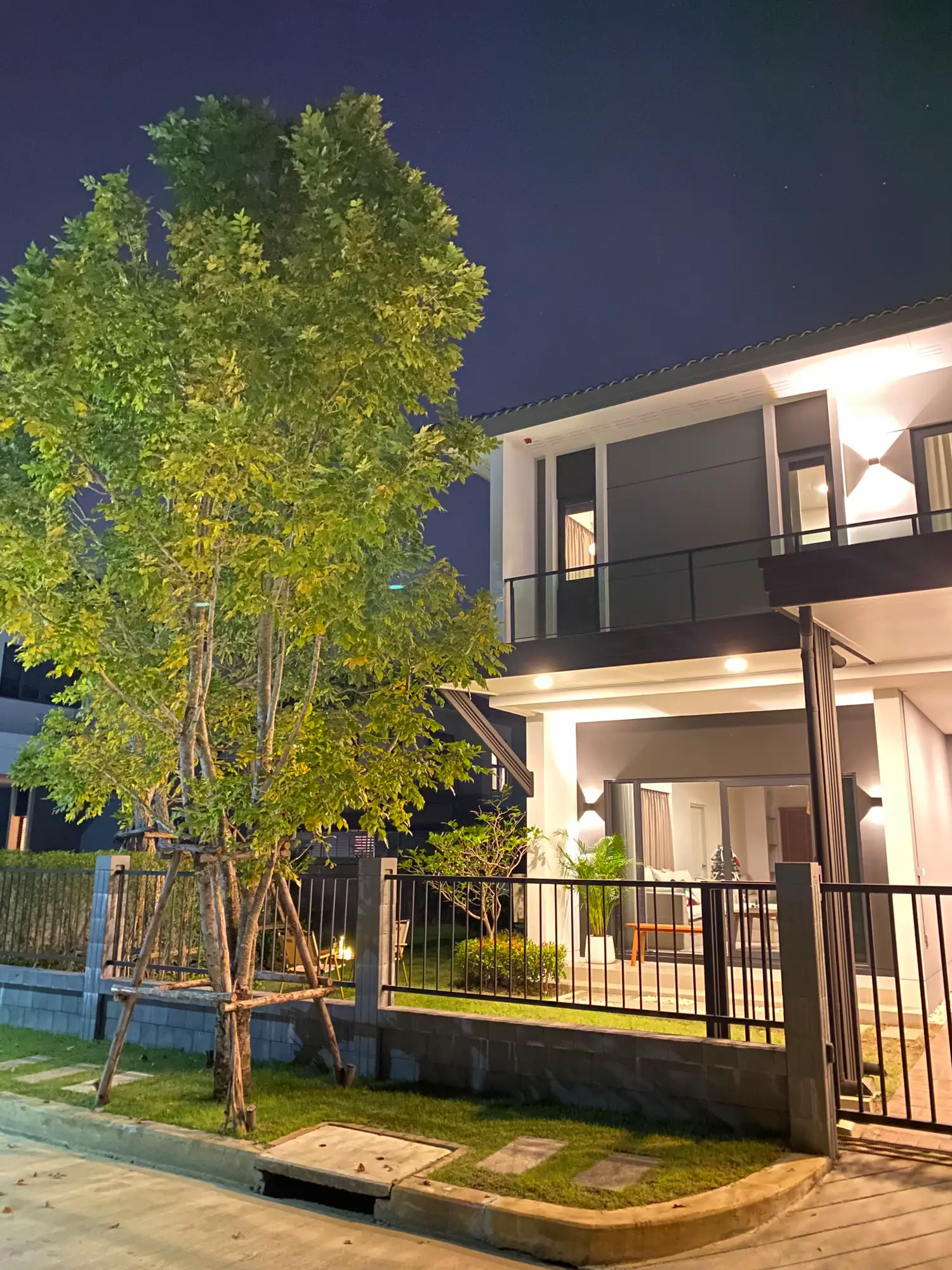 Tree of my home 🌳 | แกลเลอรีที่โพสต์โดย อยู่บ้านกะหมาผี | Lemon8