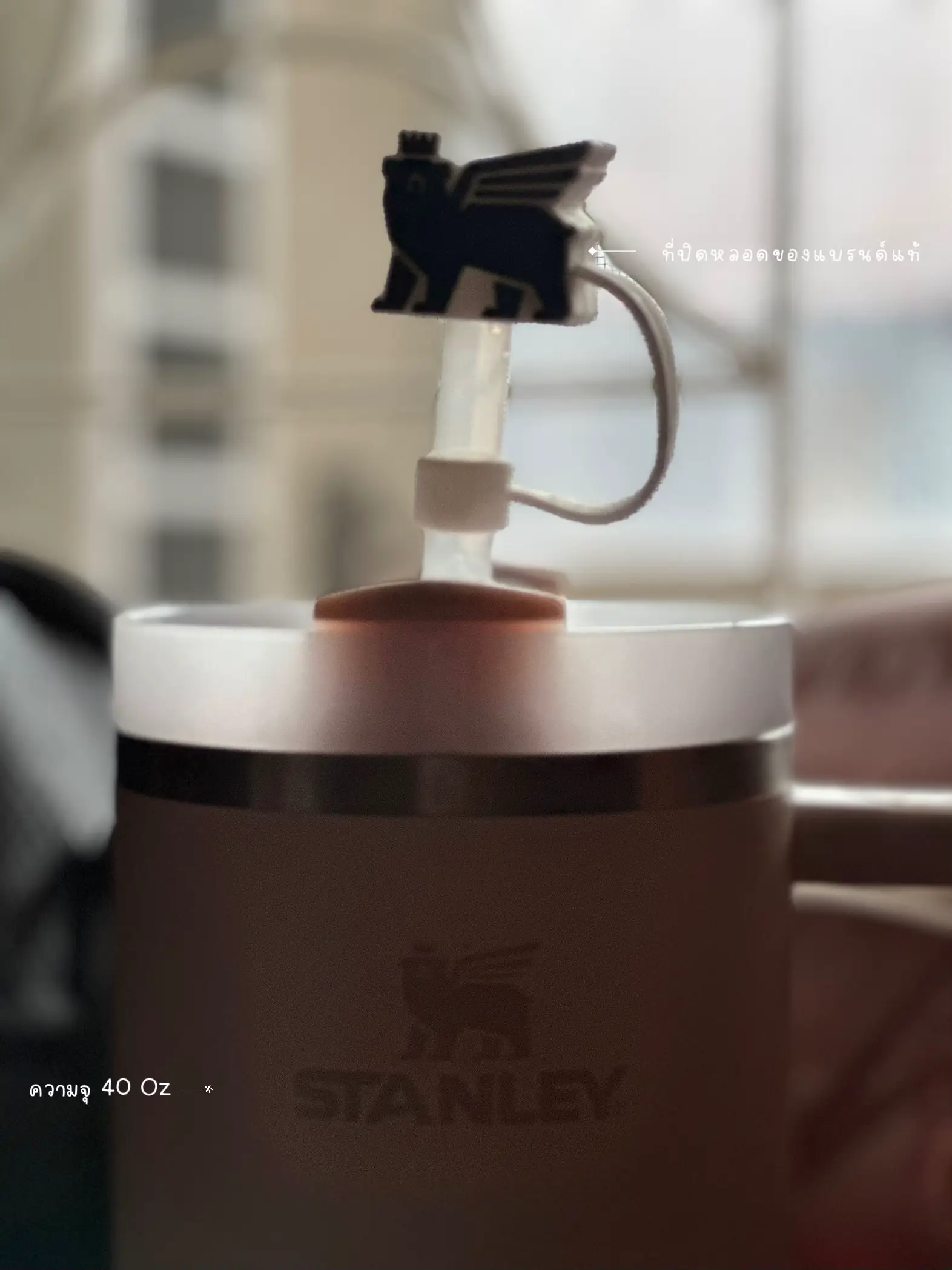 แก้วน้ำน้อนนน STANLEY 🎀🩷 | แกลเลอรีที่โพสต์โดย Napaporn ʕ·ᴥ·ʔ | Lemon8
