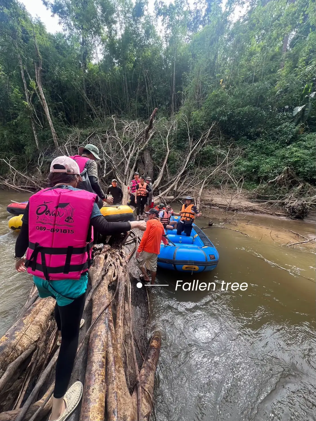 ครั้งแรกกับทีลอซู | แกลเลอรีที่โพสต์โดย Kamonwan K. | Lemon8