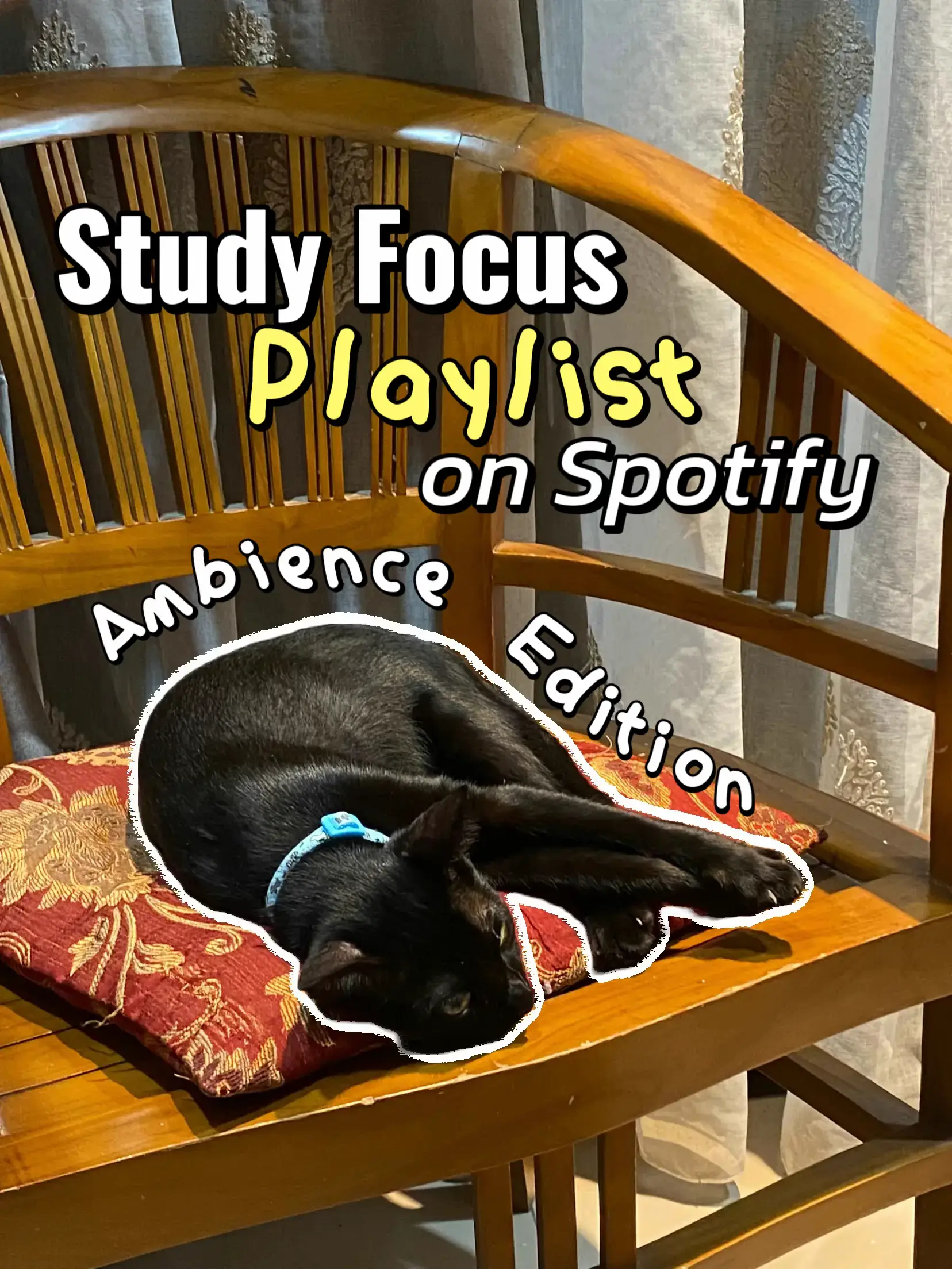 Study Focus Playlist on Spotify || Ambient Edition | แกลเลอรีที่โพสต์ ...