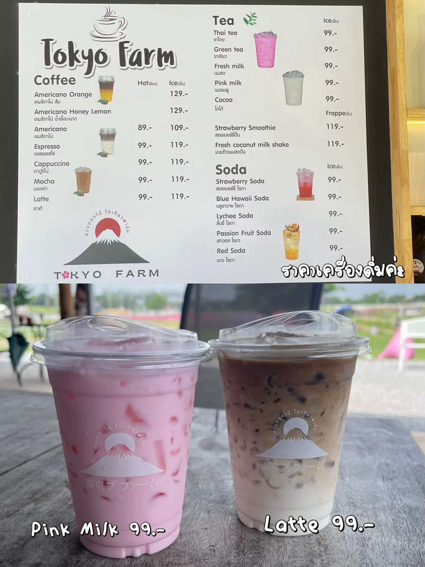 พาชม Tokyo Farm ปากช่อง (โคราช) ดอกไม้สวยมาก 🌸 | Gallery posted by Parn ...