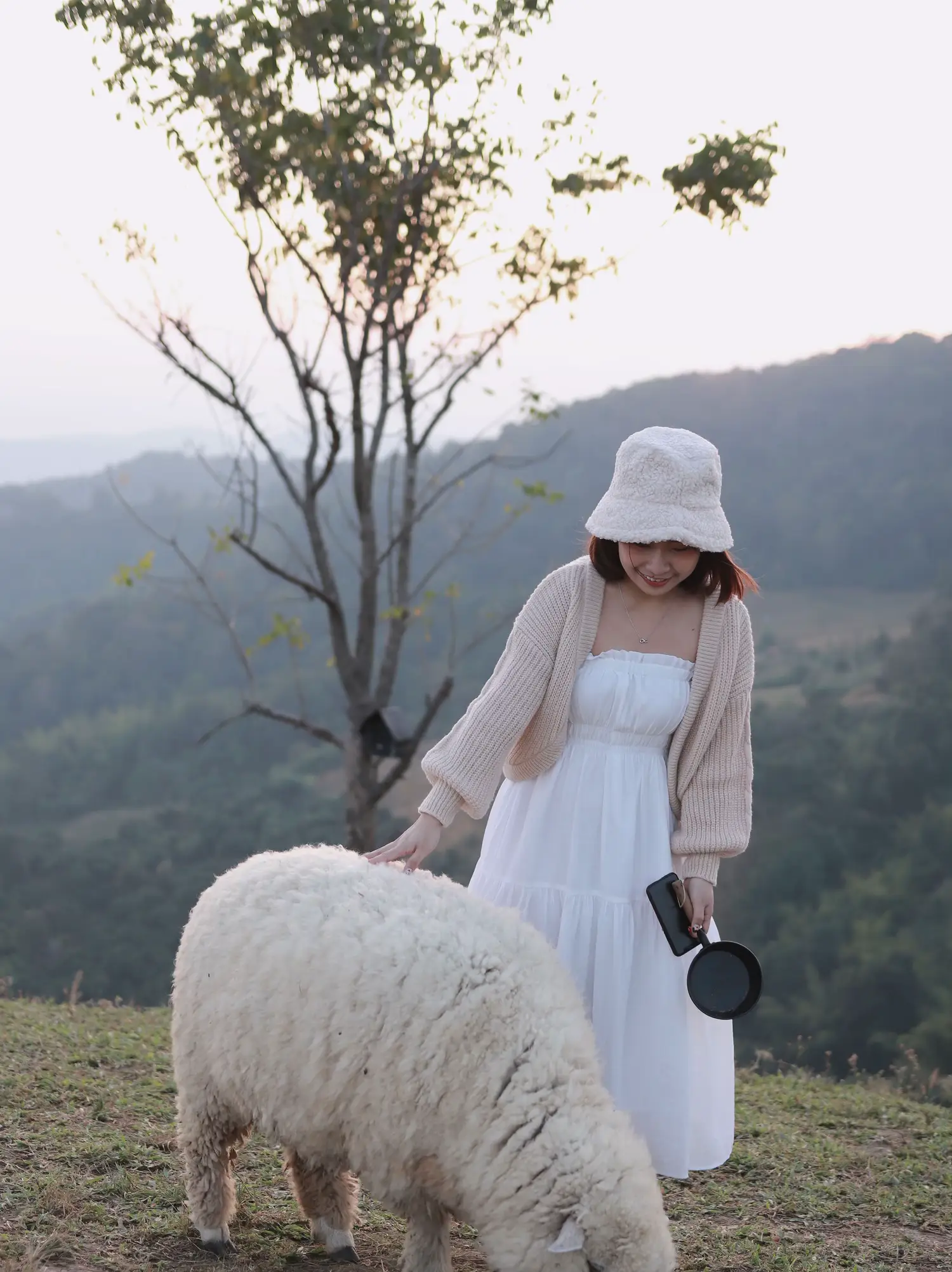 พาเที่ยว Akha Farm @เชียงราย ฟาร์มแกะที่ฮิตที่สุดบนดอยช้าง | แกลเลอรี ...