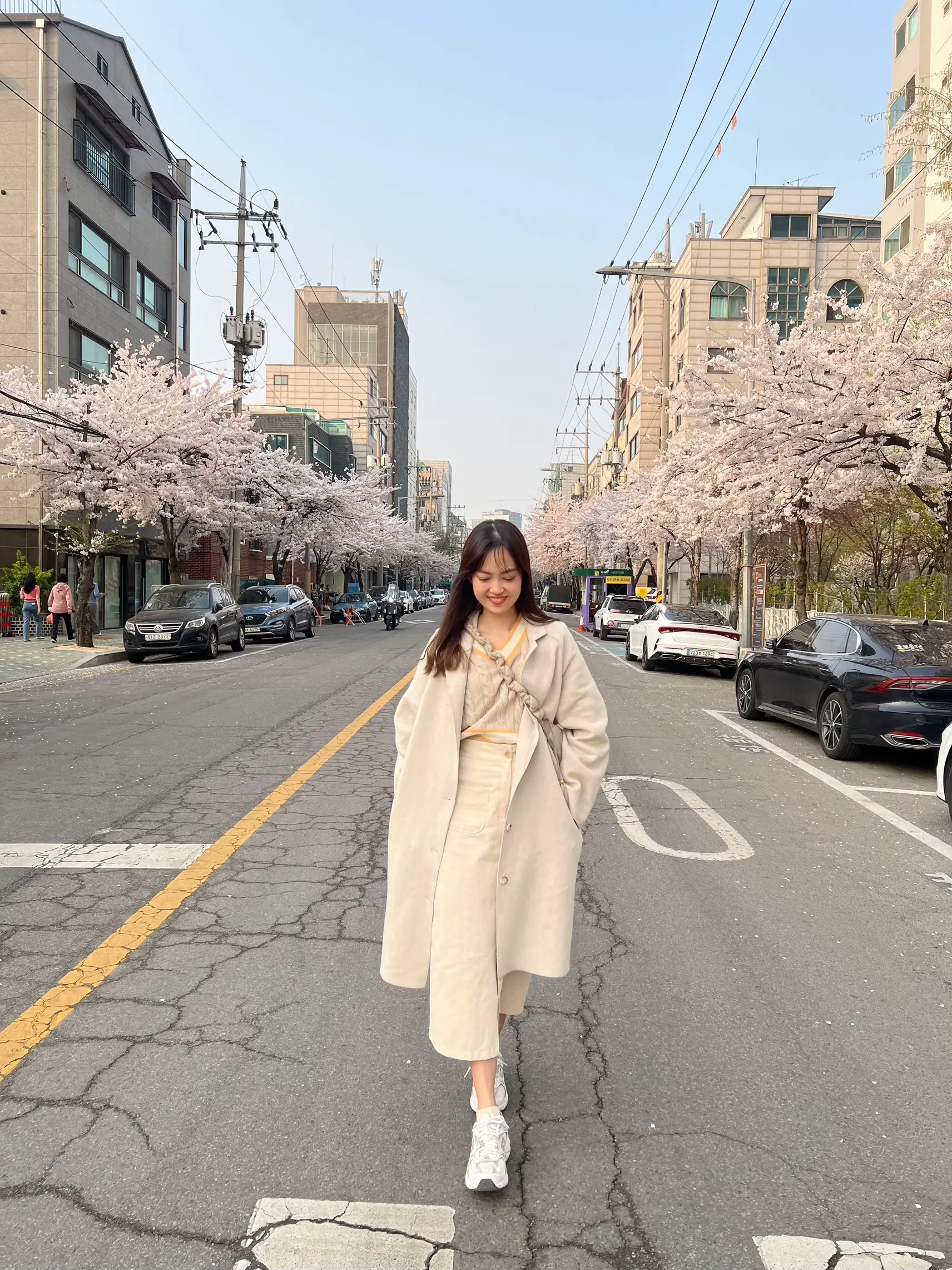 SEOUL SPRING🌸🌸 | แกลเลอรีที่โพสต์โดย Giftgibbbb🐰🌿 | Lemon8