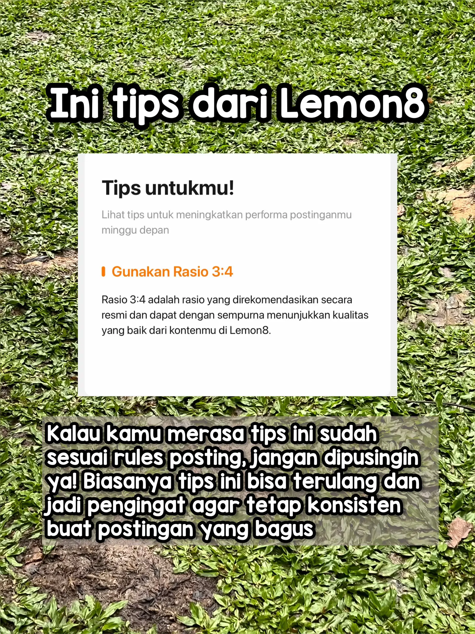 CREATOR PEMULA LEMON8 HARUS CEK FITUR INI! | Galeri diposting oleh • Winnie • | Lemon8
