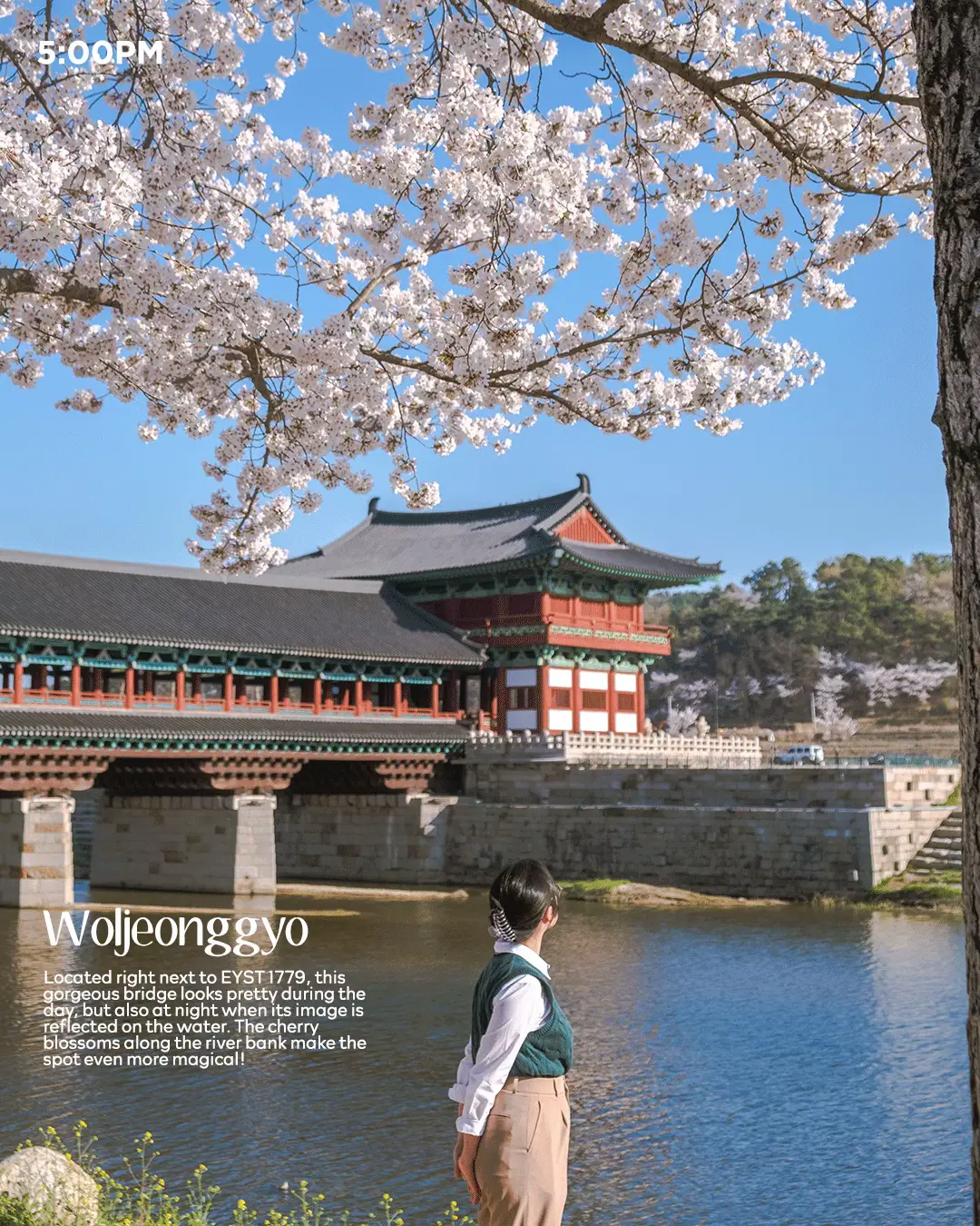 Gyeongju Day Trip Itinerary (Spring Edition) | Gallery posted by ...