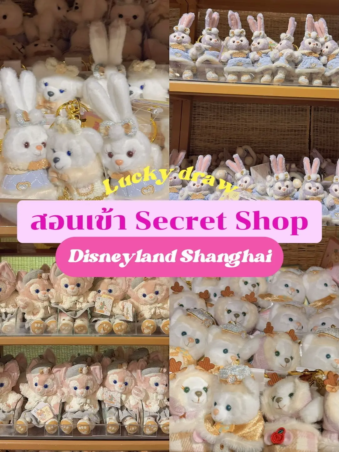 🇨🇳| สอนวิธีลุ้นเข้า Secret Shop Disneyland Shanghai | แกลเลอรีที่โพสต์ ...