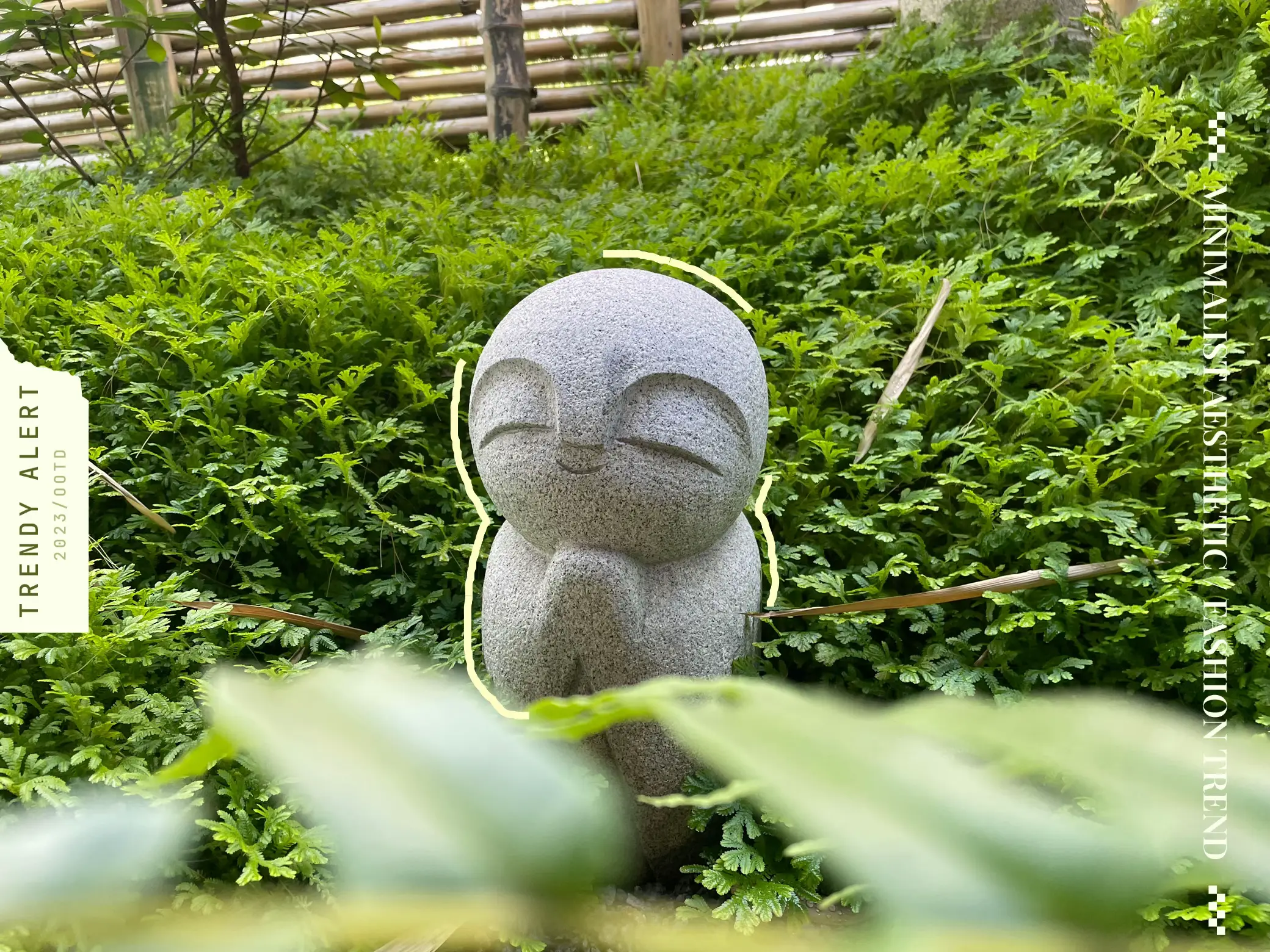 #ฤดูหนาว#ต้นไม้ #ติดเทรนด์ #จัดสวนข้างบ้าน | แกลเลอรีที่โพสต์โดย Su ...