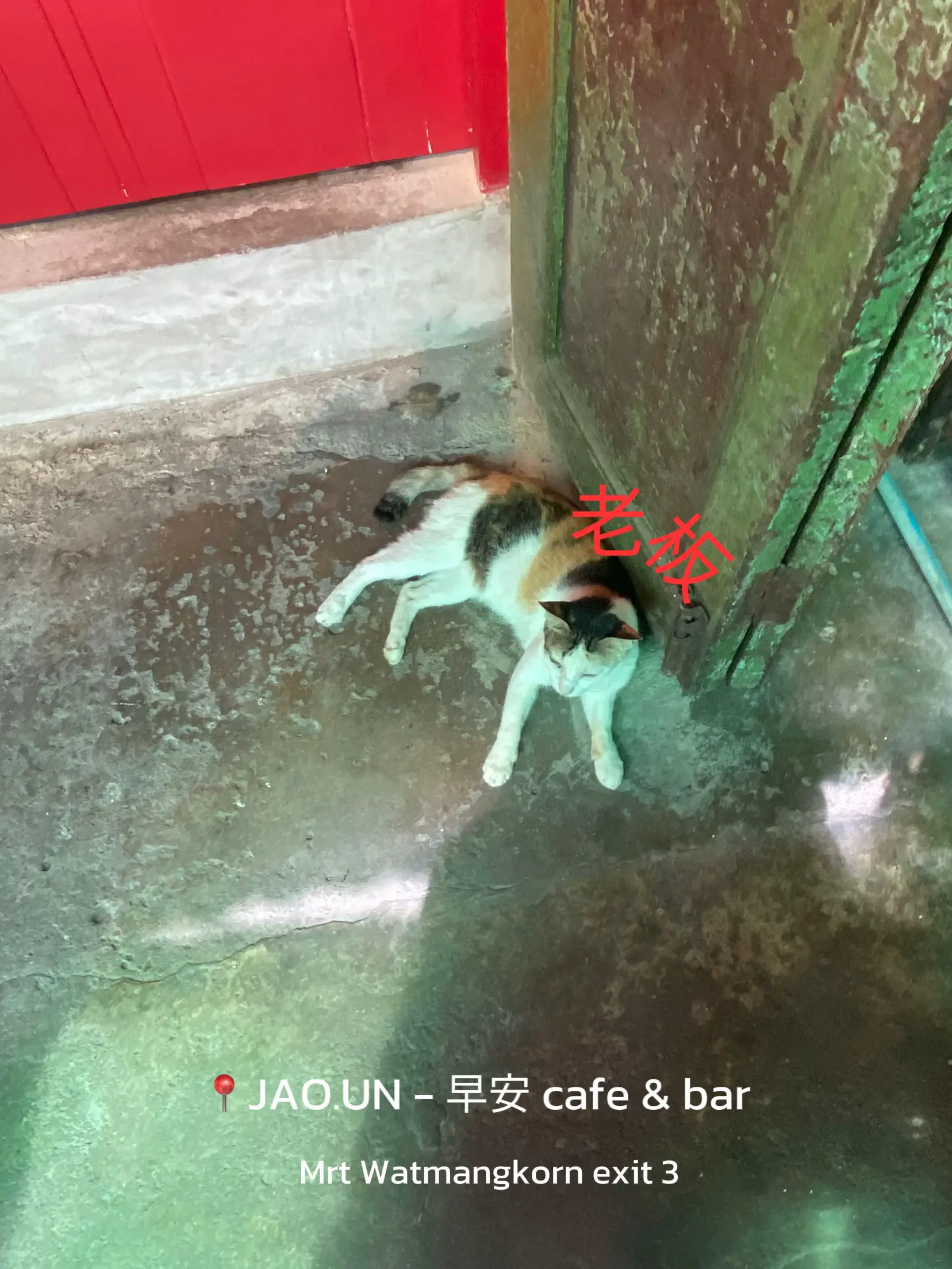 Jao un和Rong klan nuer 📍Mrt Watmangkorn exit 3 | แกลเลอรีที่โพสต์โดย ㅍ | Lemon8