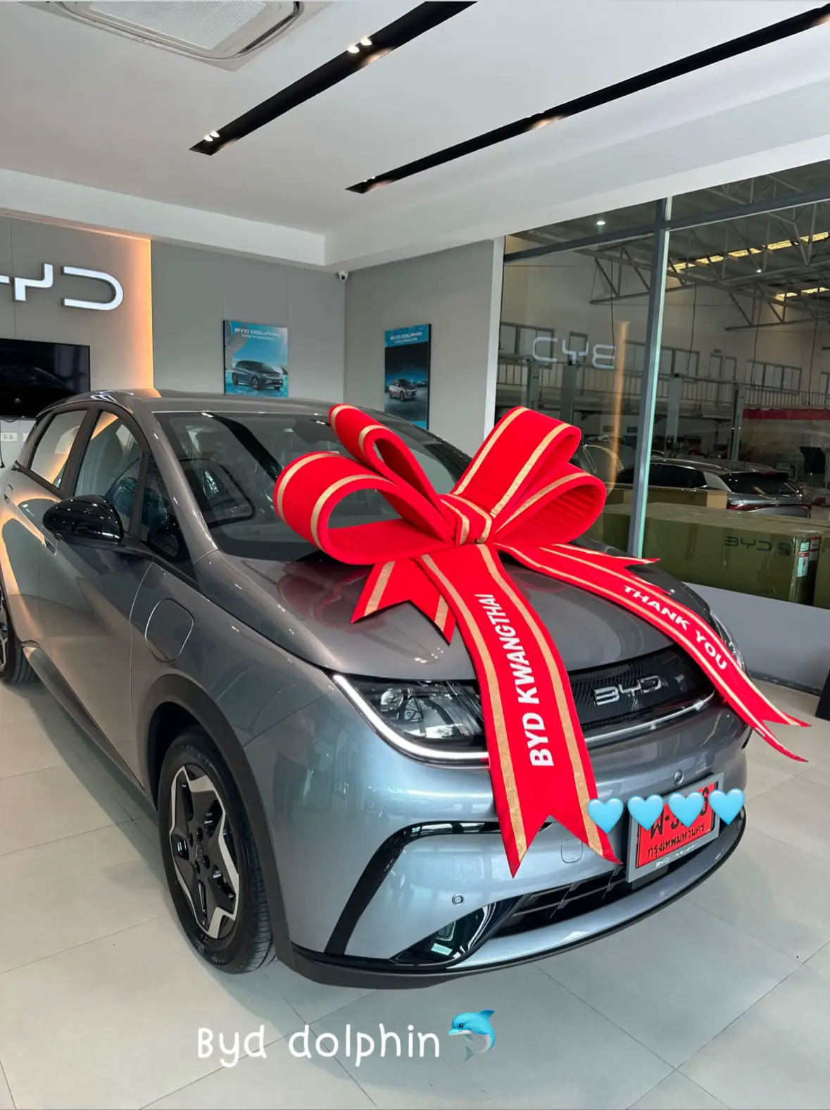 Review byd dolphin - การค้นหาใน Lemon8