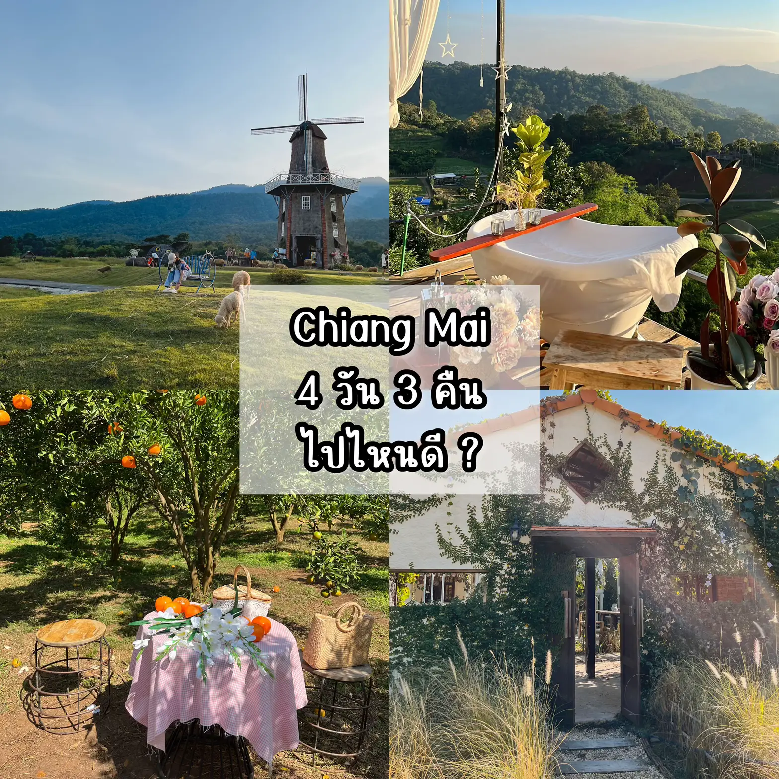 ep.1 เชียงใหม่ 4 วัน 3 คืน ไปไหนดี? | แกลเลอรีที่โพสต์โดย hz_llii | Lemon8