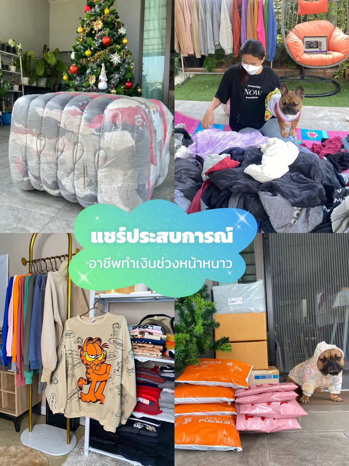 อาชีพทำเงินช่วงหน้าหนาว☃️ แกลเลอรีที่โพสต์โดย ᴘɪᴍᴍʏ꙳꒰• ̎•꒱꙳ Lemon8