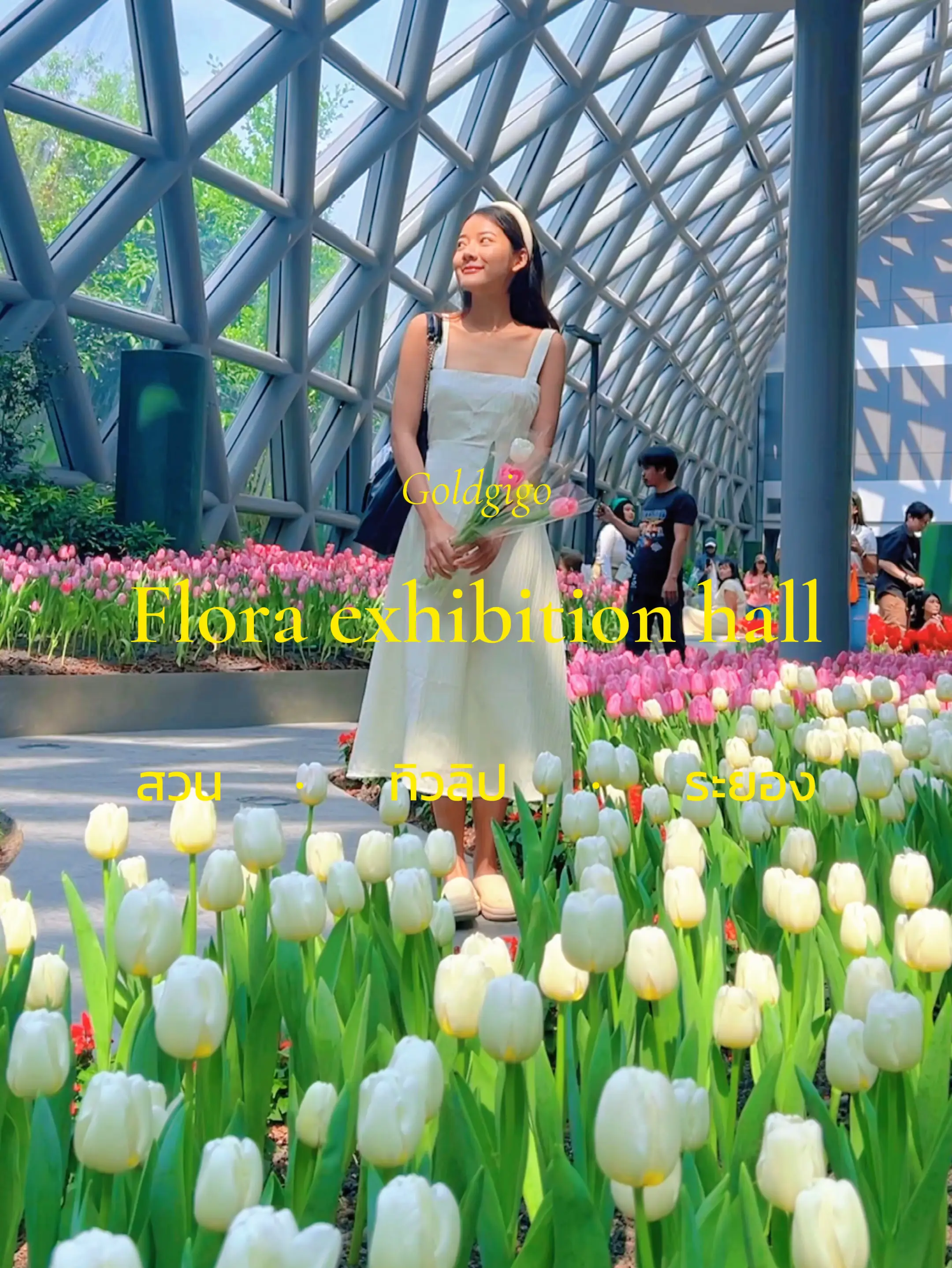 สวนทิวลิป FLORA EXHIBITION HALL | วิดีโอที่เผยแพร่โดย GOLDGIGO | Lemon8
