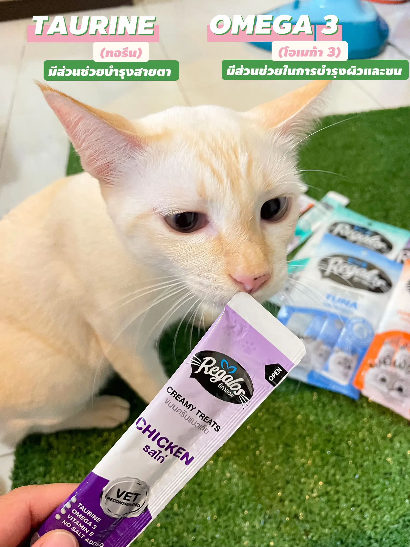 ขนมแมวเลียliebao - การค้นหาใน Lemon8