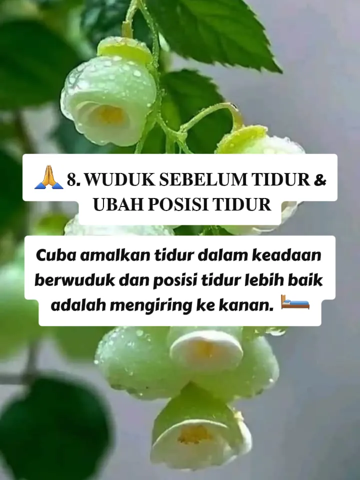 📌9 Tips Mudah Bangun Solat Tahajud!! Jom try!! | Galeri disiarkan oleh ...